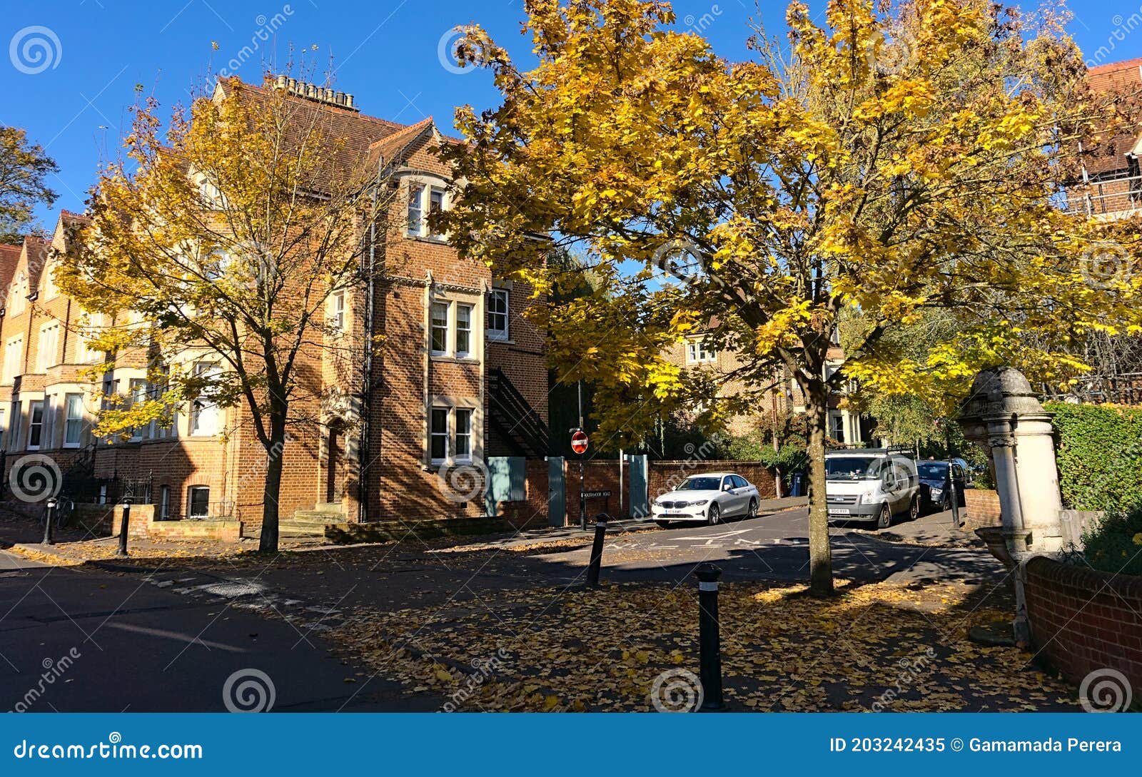 Autumn Trees in a Road, Oxford Editorial Image - Image of travel ...