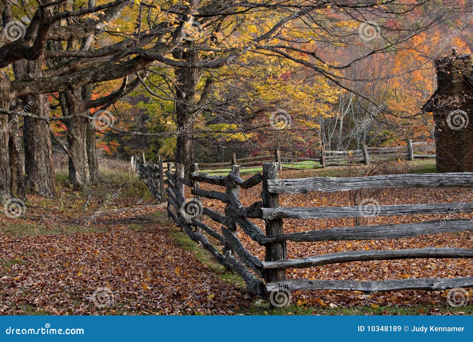 Autumn Trees and Rustic Fence Stock Image - Image of rails, fall: 10348189