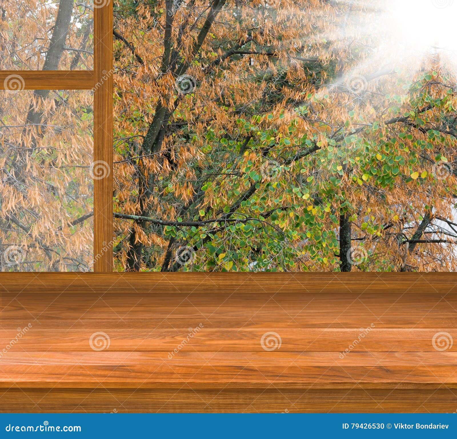 Autumn Trees Seen through View of Window Stock Photo - Image of autumn ...