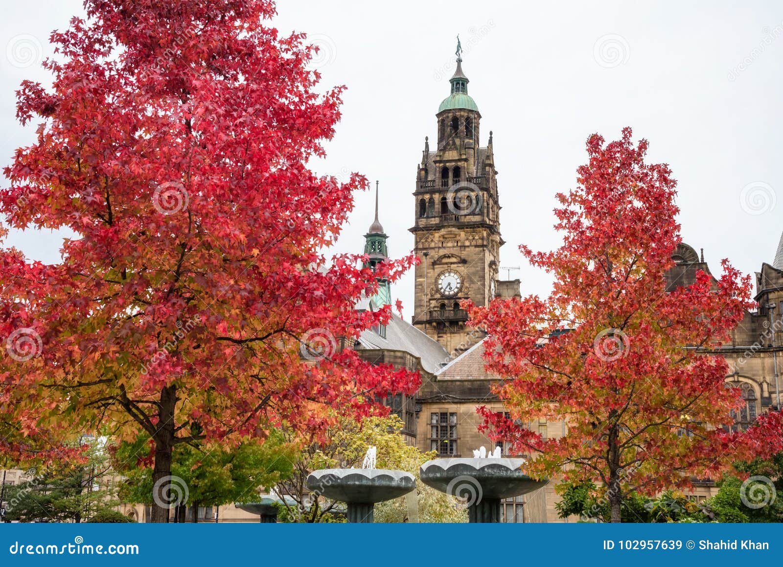 Autumn Trees Sheffield Town Hall Imagen de archivo - Imagen de ...