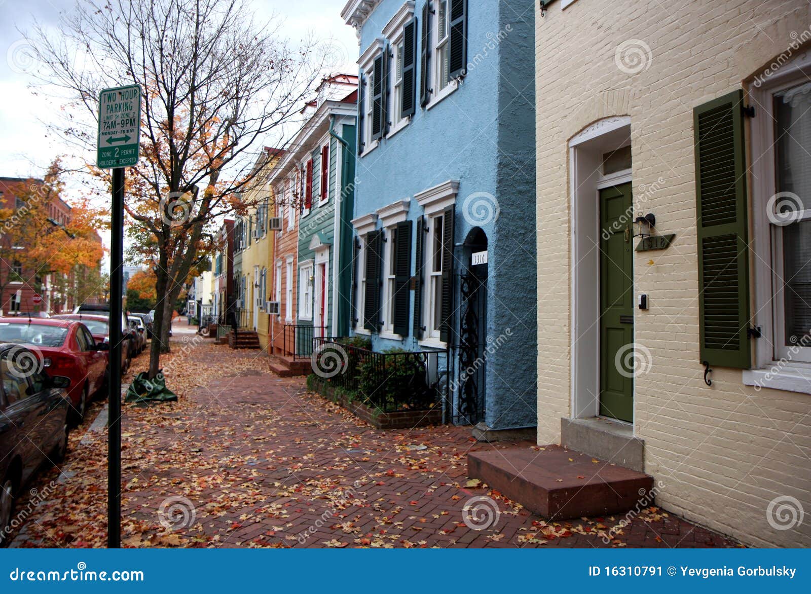 Autumn Trees on a Street in Washington Stock Image - Image of weather ...