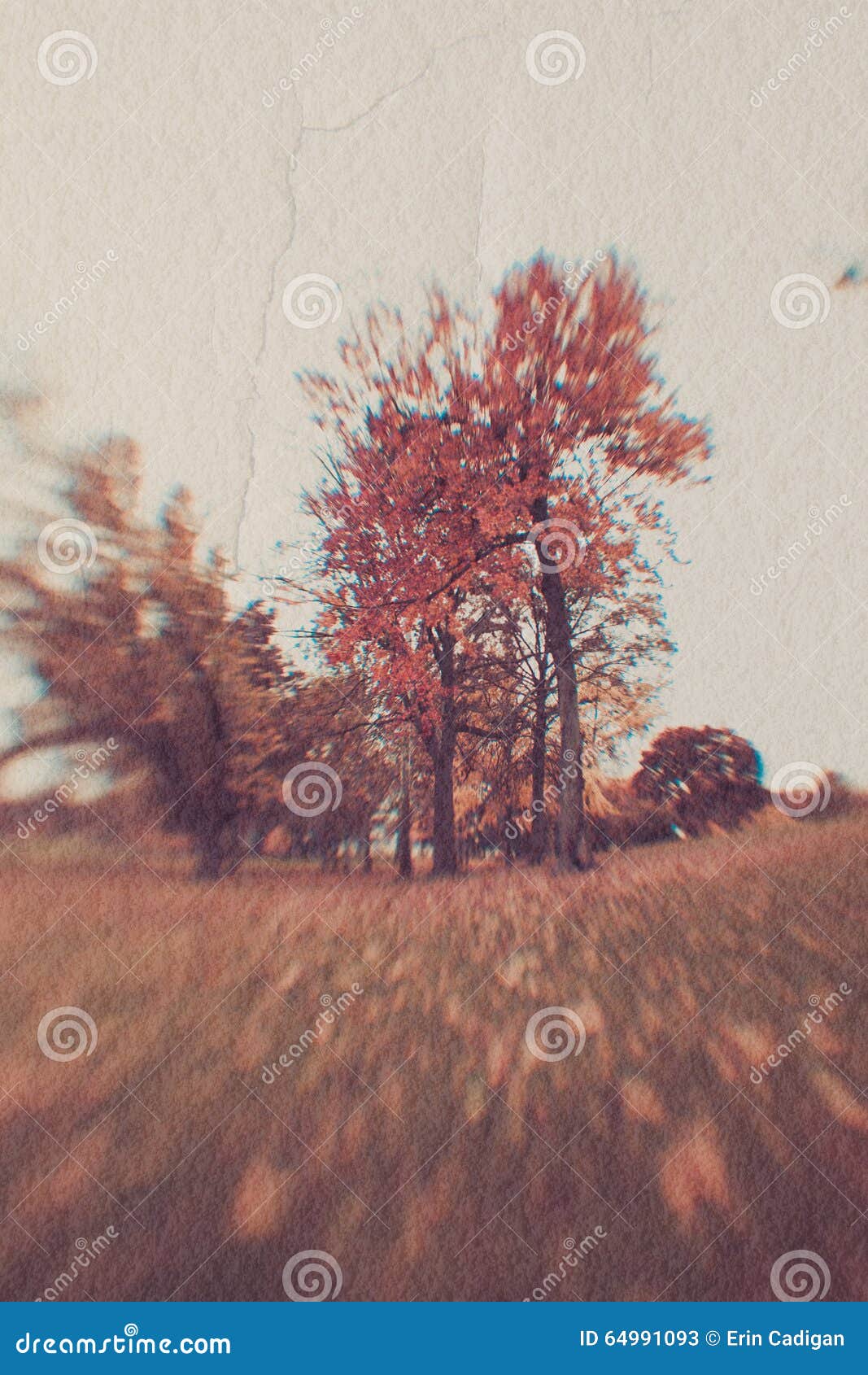 Autumn Trees stock image. Image of rustic, blurry, leaf - 64991093