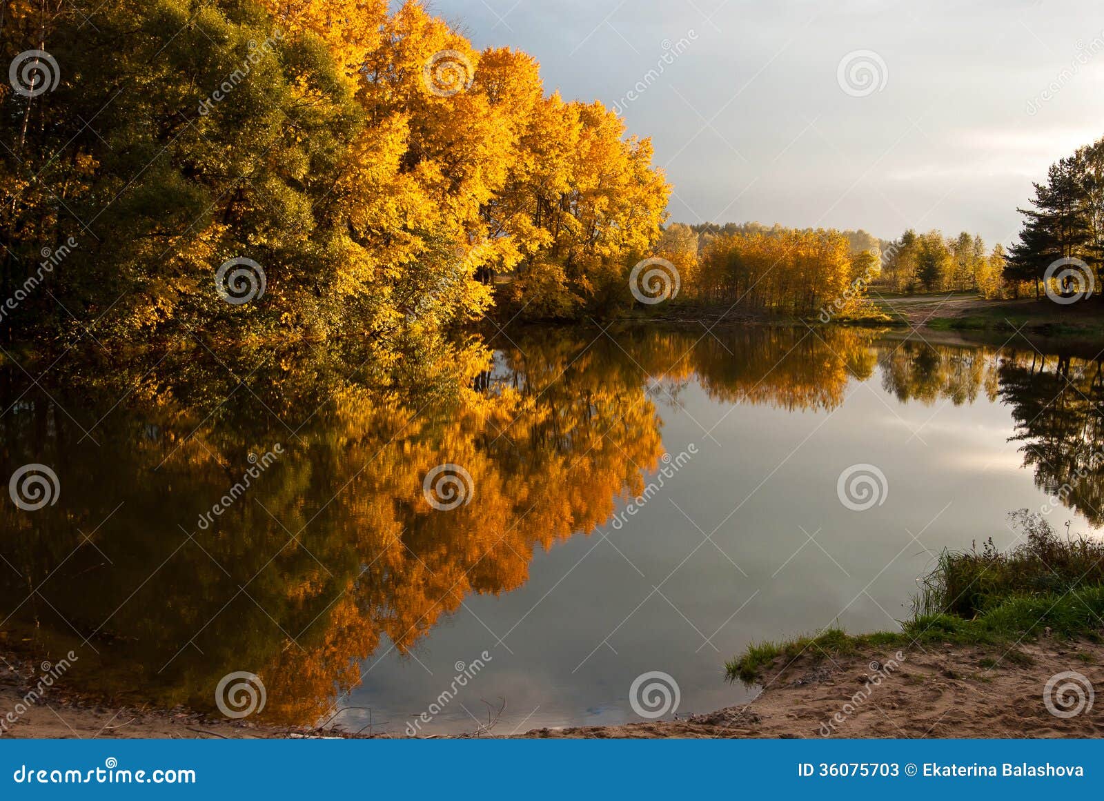 Autumn Trees and Their Reflection Stock Image - Image of leaves, water ...