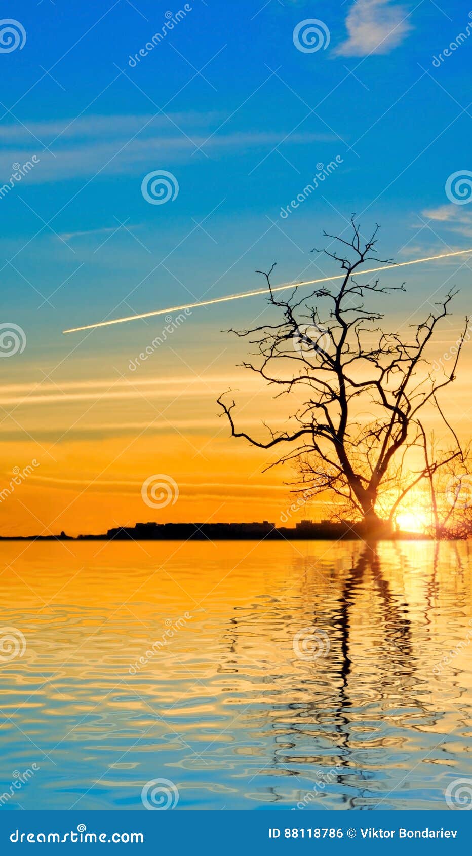 Autumn Trees on Water Background Stock Photo - Image of design, life ...