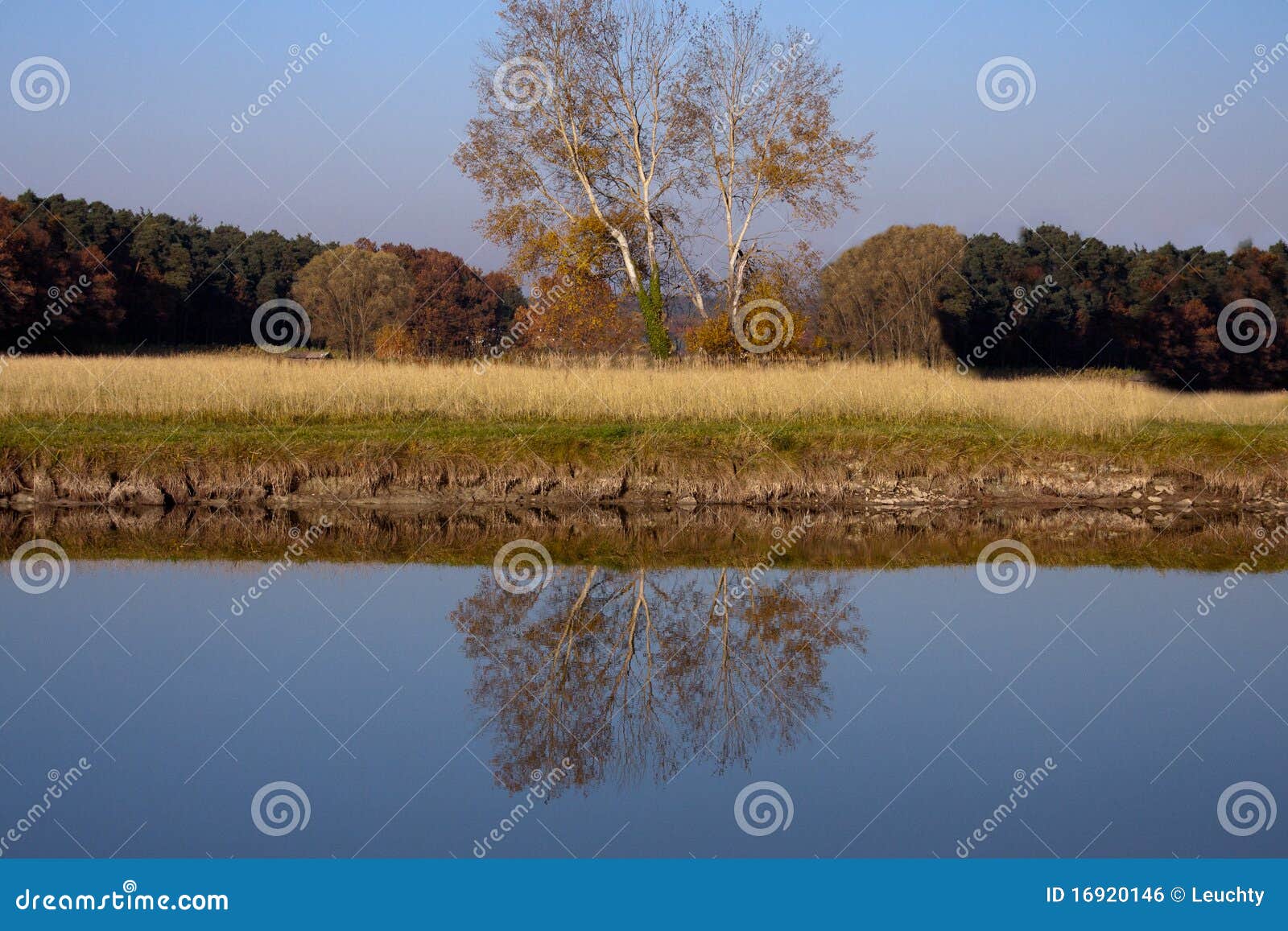 Autumn Trees with Water Reflection Stock Photo - Image of imaging ...