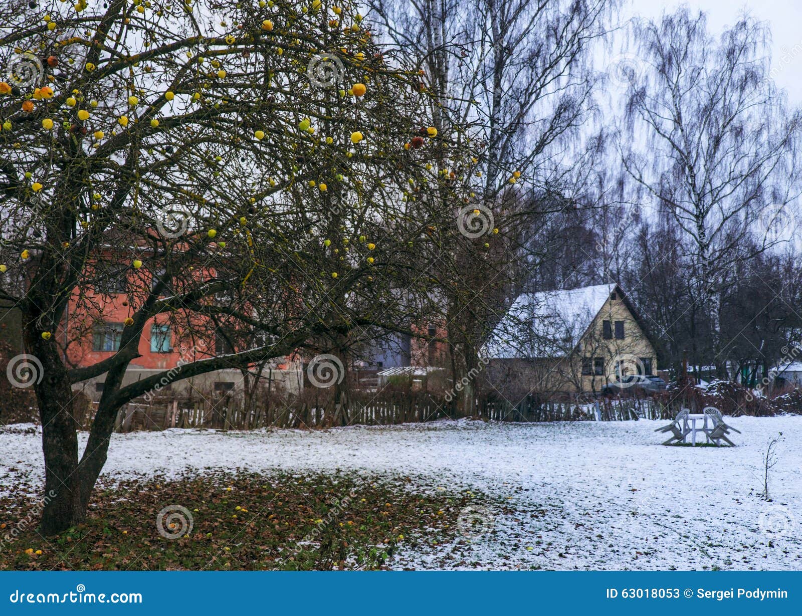 When Autumn Turns into Winter Stock Image - Image of fence, back: 63018053