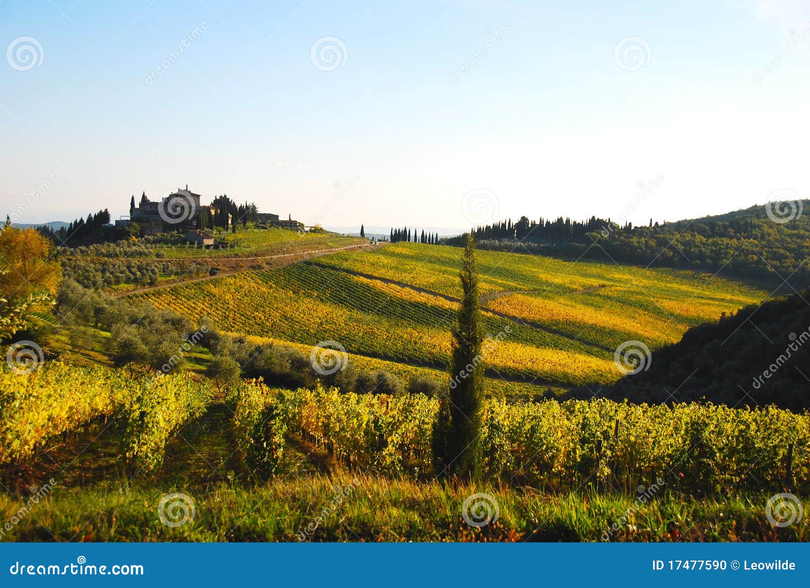 Autumn in Tuscany stock photo. Image of italy, bushes - 17477590