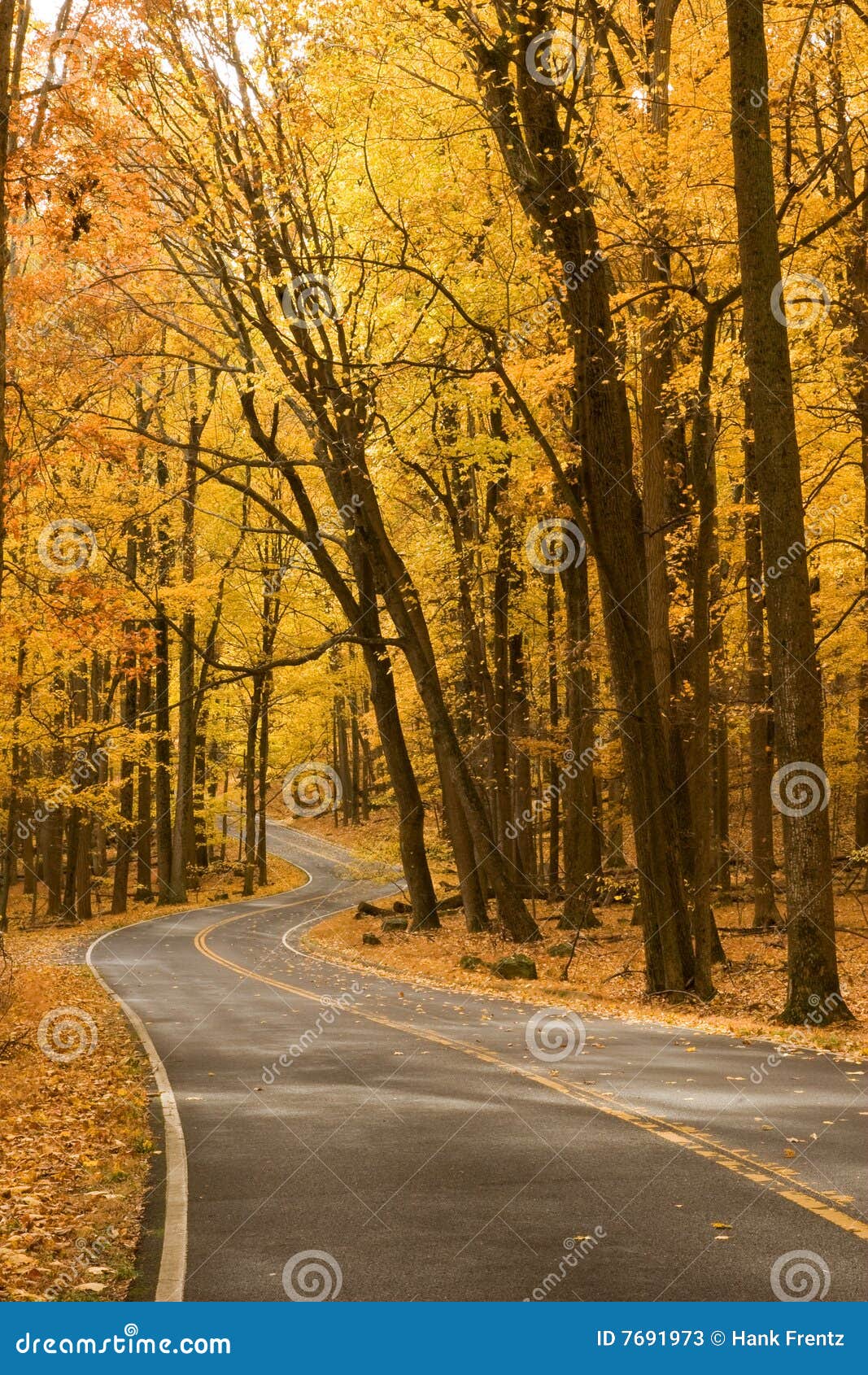 Autumn on two-lane road stock image. Image of nature, autumnal - 7691973
