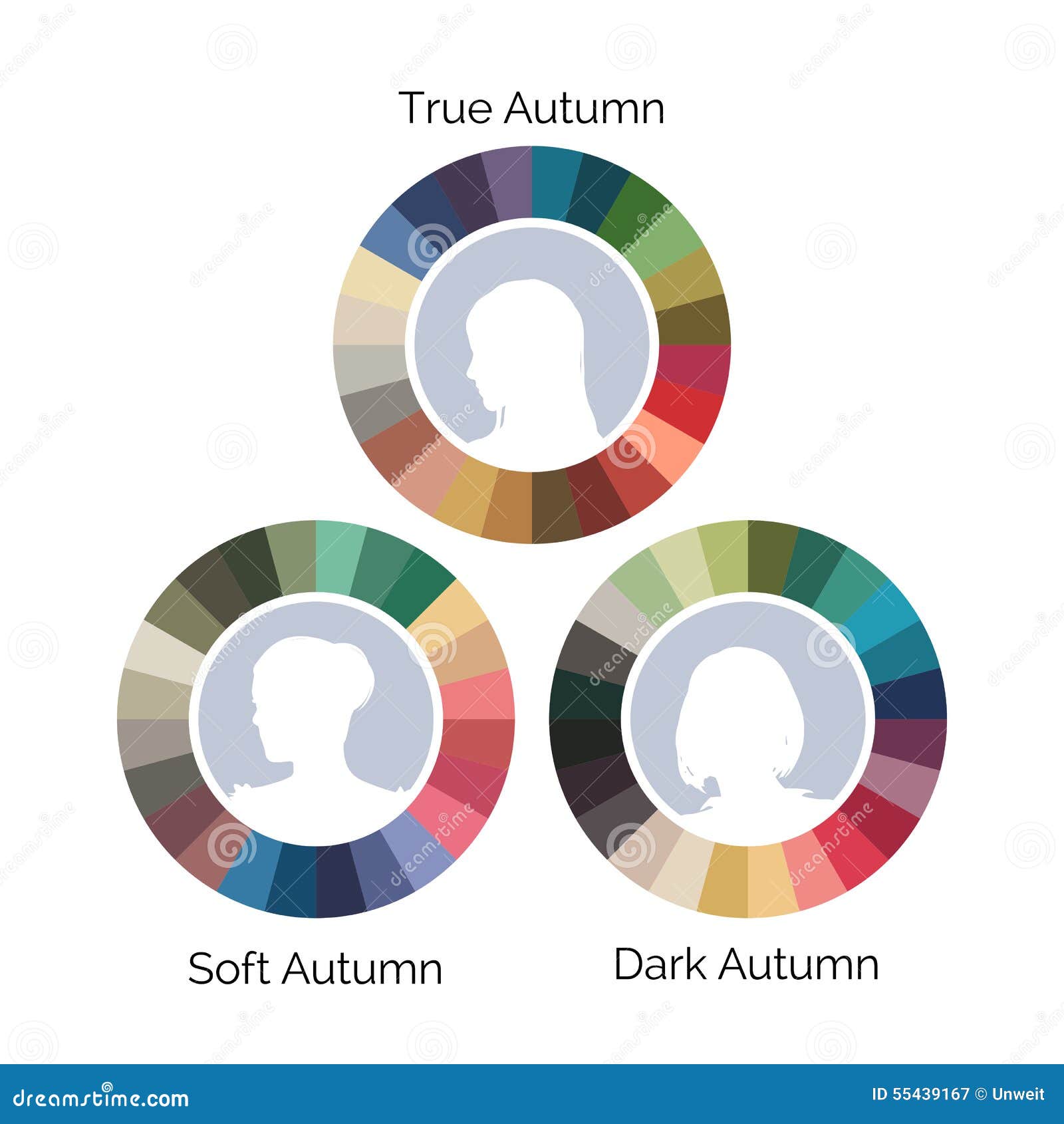Autumn type color palettes stock vector. Illustration of colors - 55439167