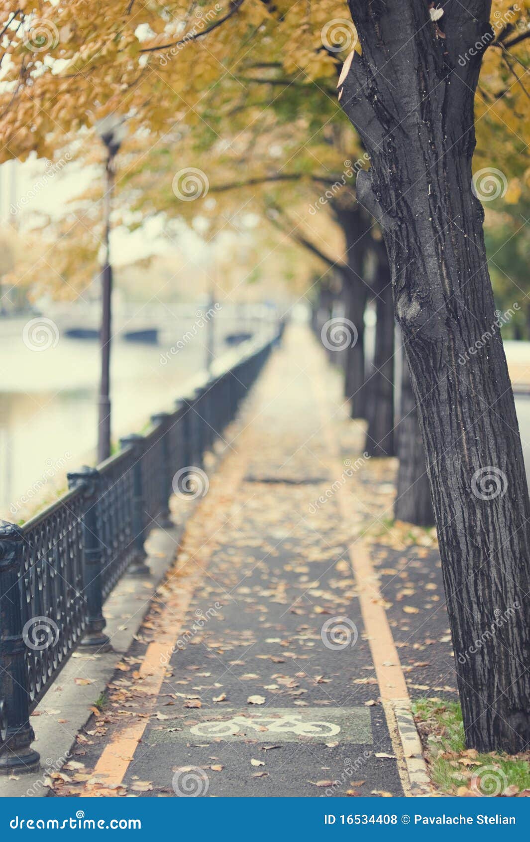 Autumn urban path stock photo. Image of city, outside - 16534408