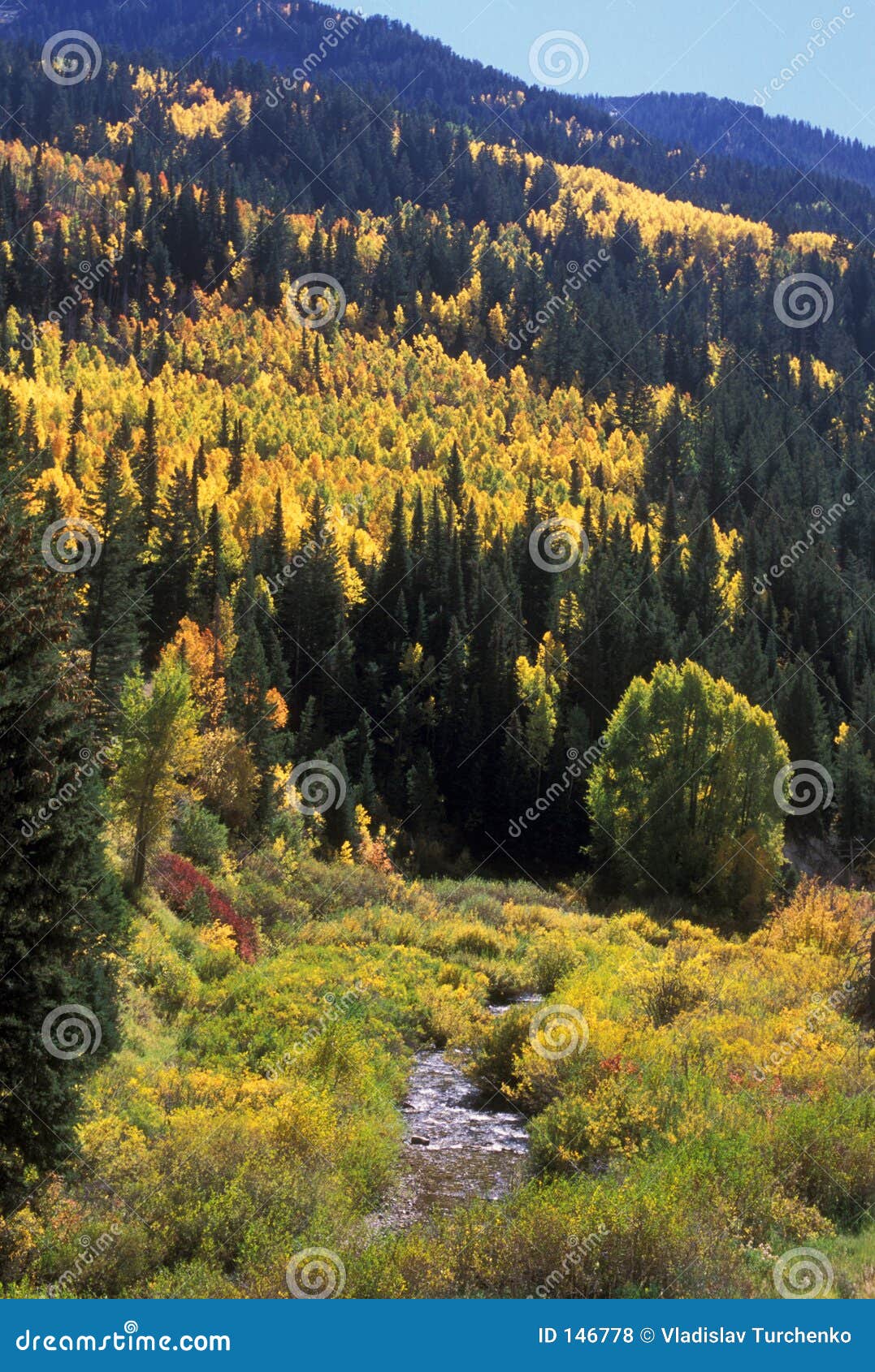 Autumn in Utah mountains stock photo. Image of biome, foliage - 146778