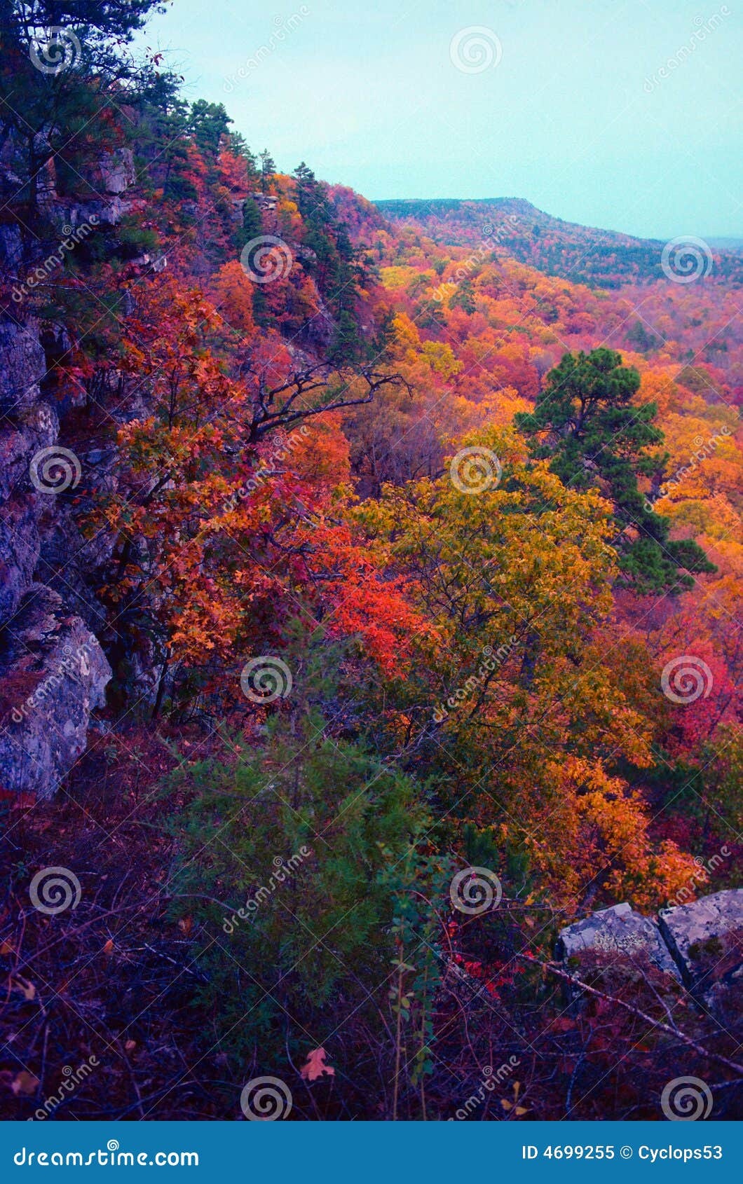 Autumn valley stock image. Image of orange, fall, ozarks - 4699255