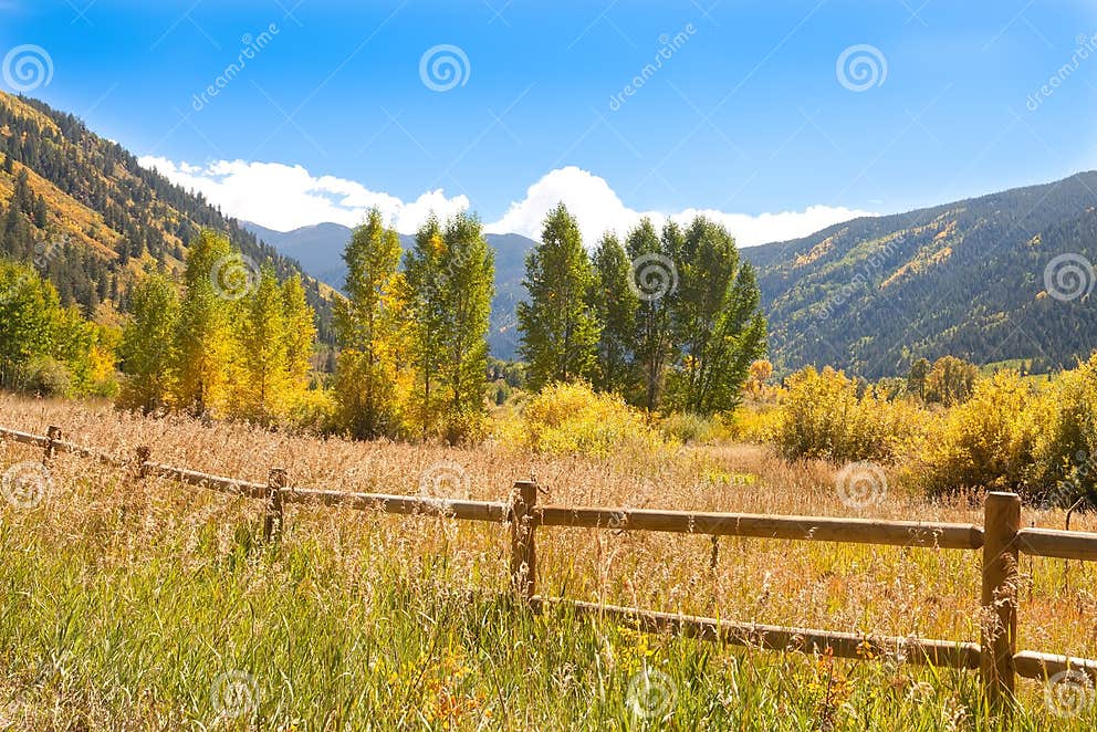 Autumn in the Valley of Colorado Stock Photo - Image of colorado ...