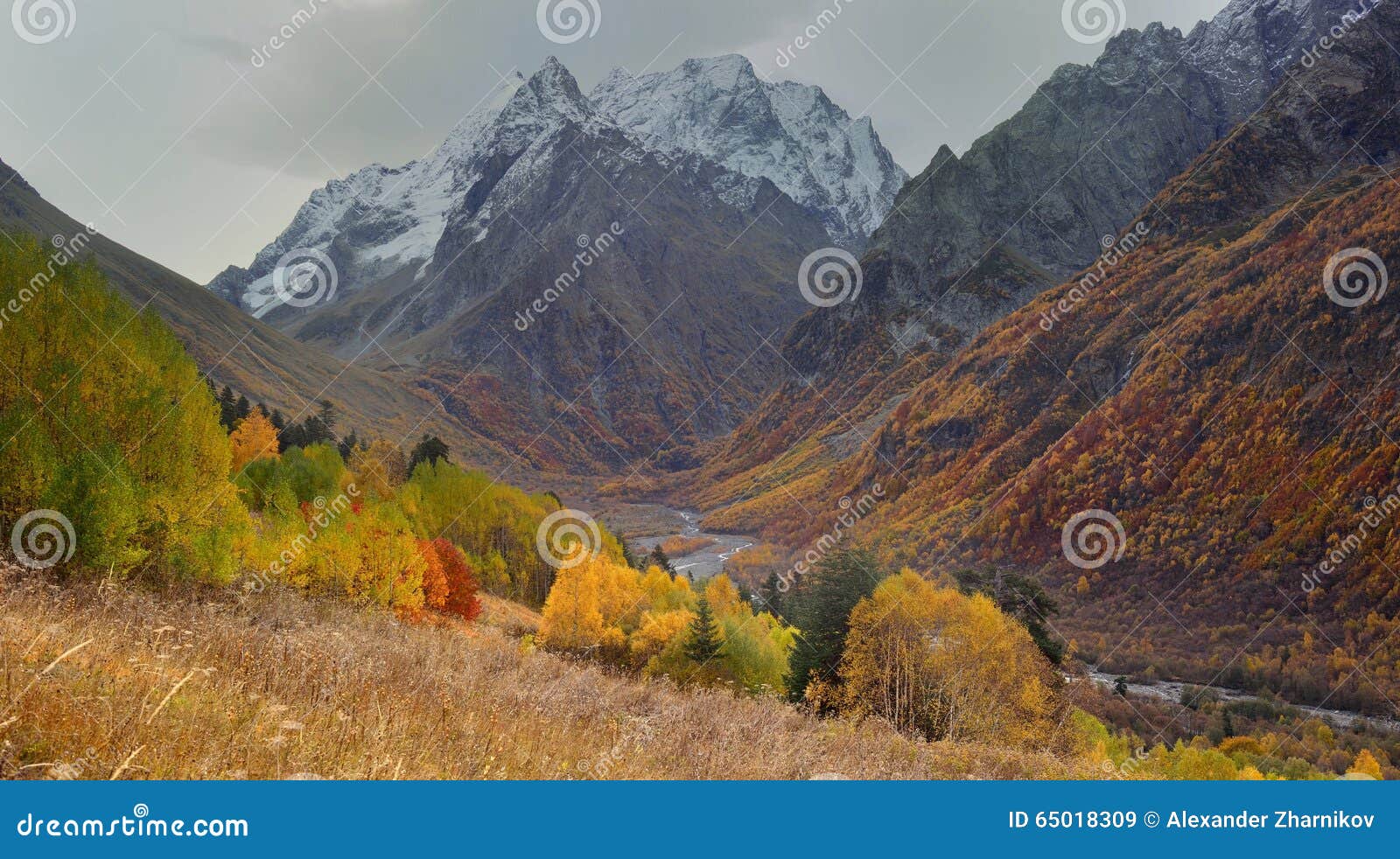 Autumn valley stock image. Image of climb, branch, nature - 65018309