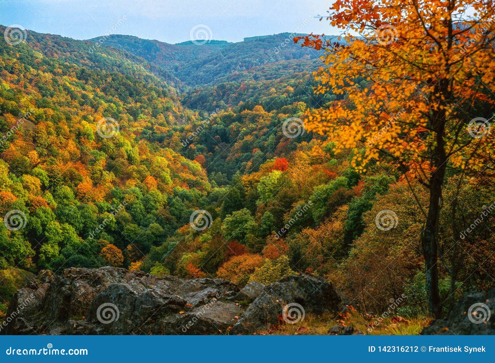 Autumn valley stock photo. Image of outside, natural - 142316212