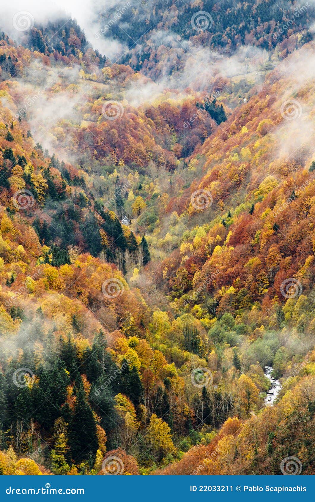 Autumn valley landscape stock image. Image of nature - 22033211