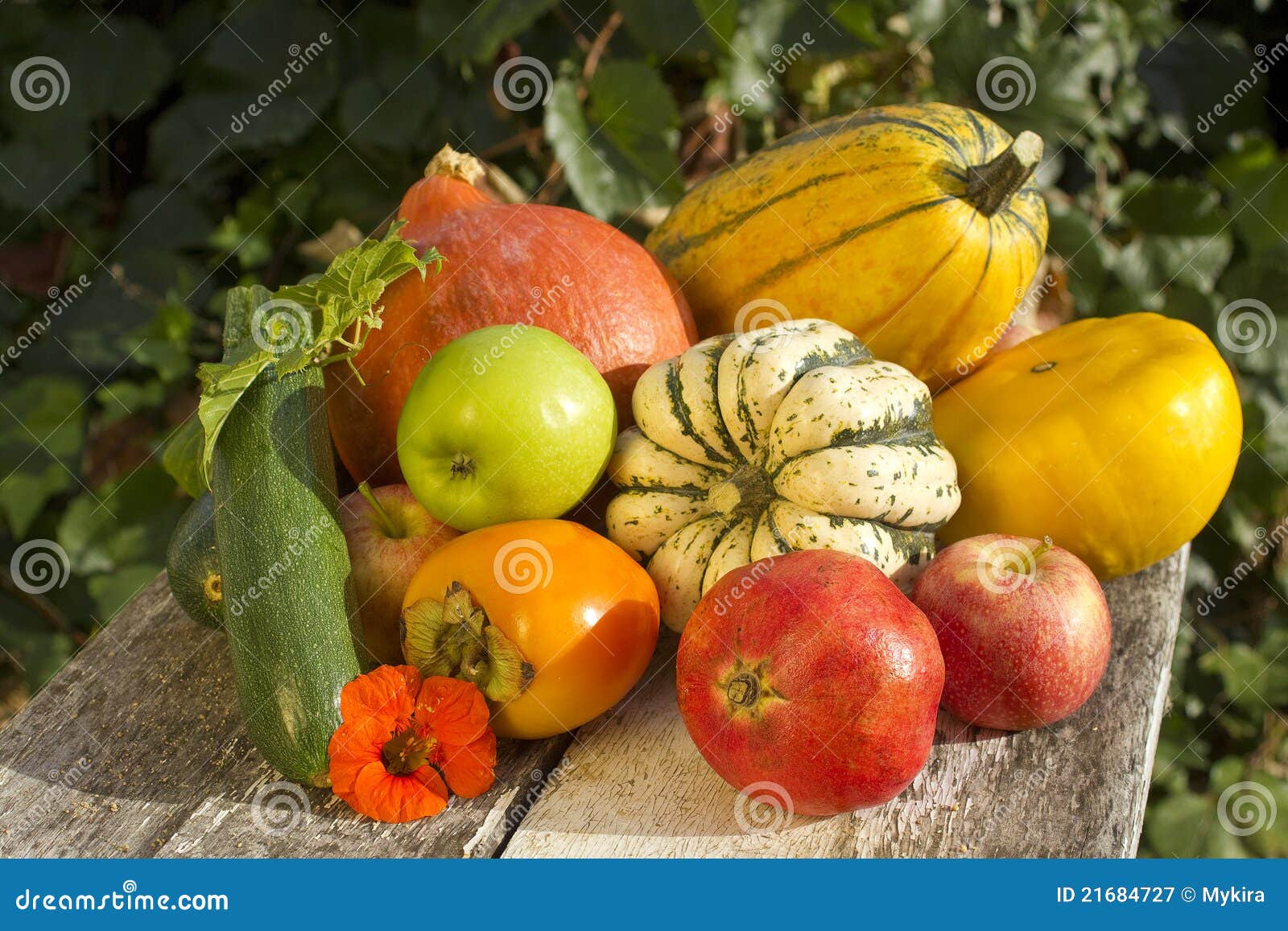 Autumn Vegetable and Fruits Collection Stock Image - Image of fall ...