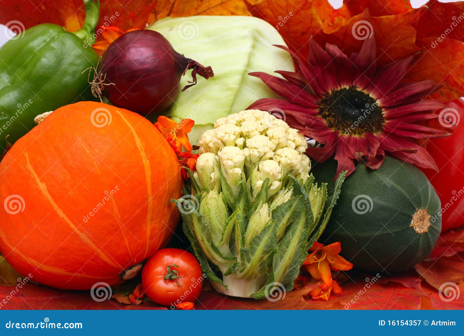 The autumn vegetables stock image. Image of crops, green - 16154357
