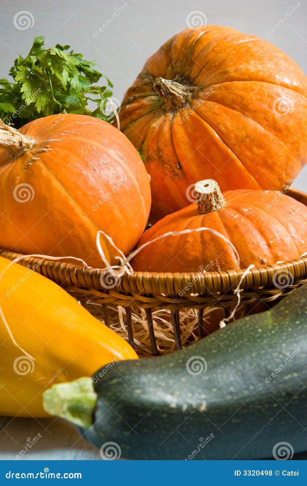 Autumn vegetables stock photo. Image of halloween, close - 3320498
