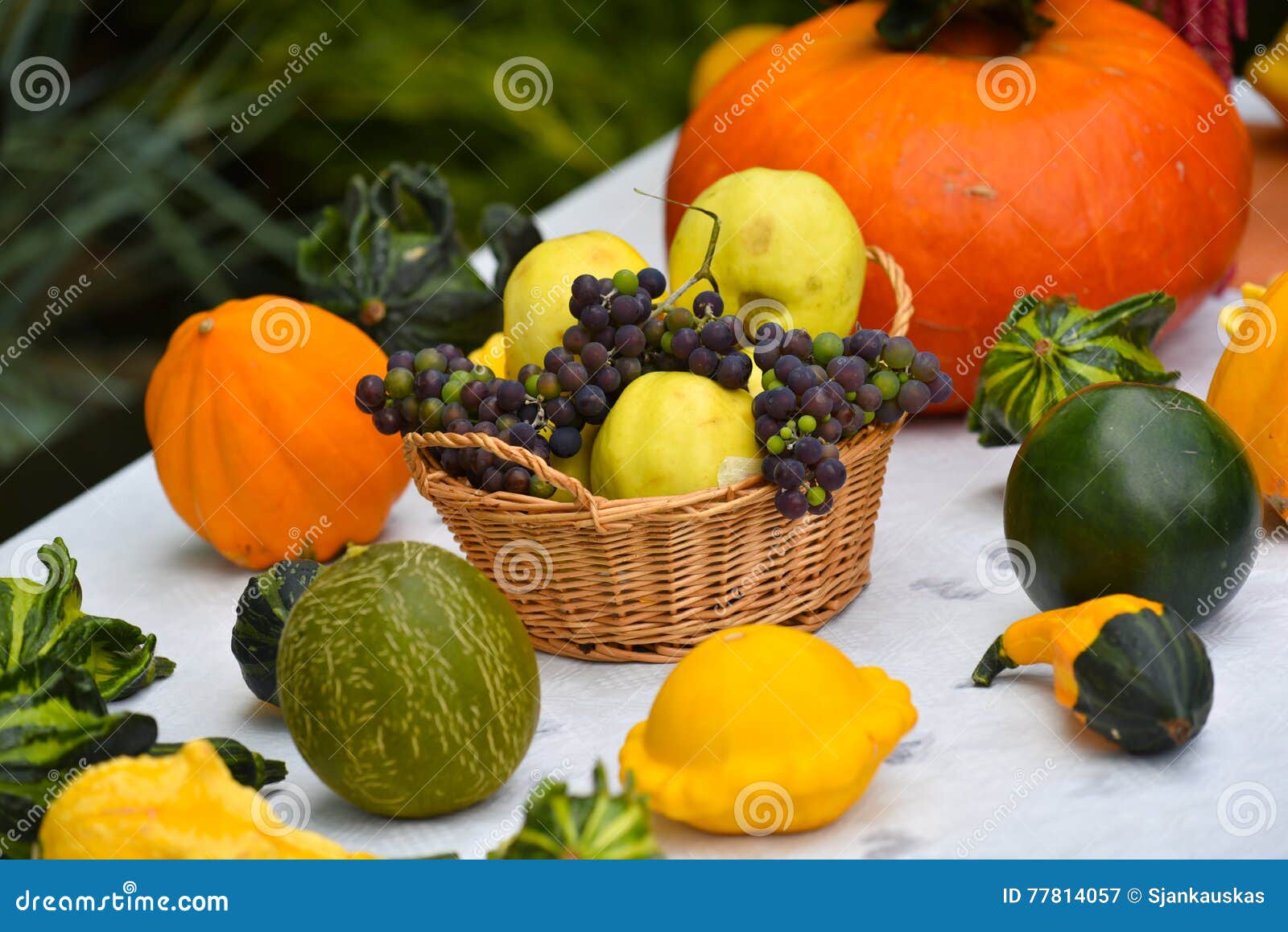 Autumn Vegetables immagine stock. Immagine di alimento - 77814057