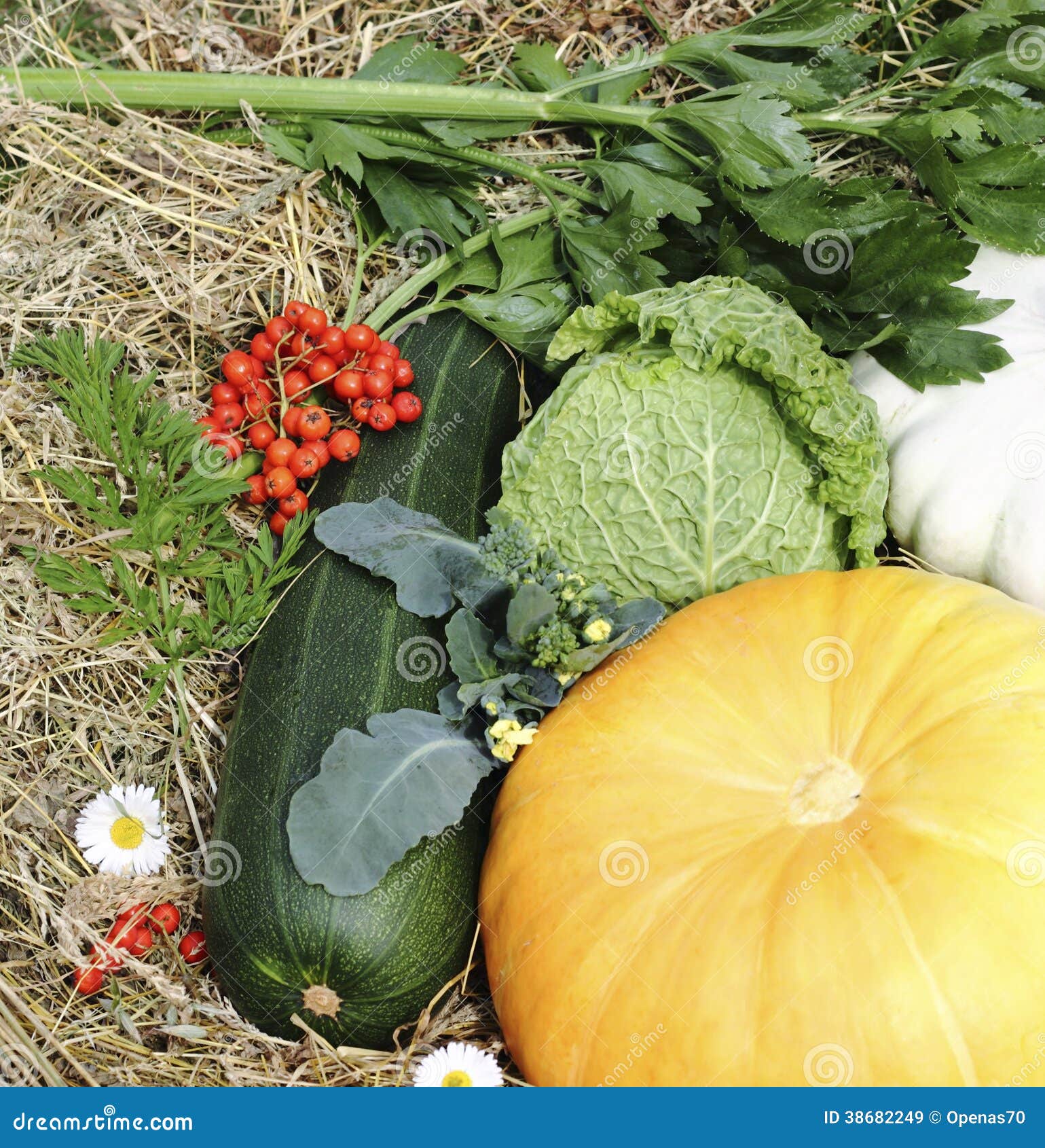 Autumn vegetables stock image. Image of food, colors - 38682249