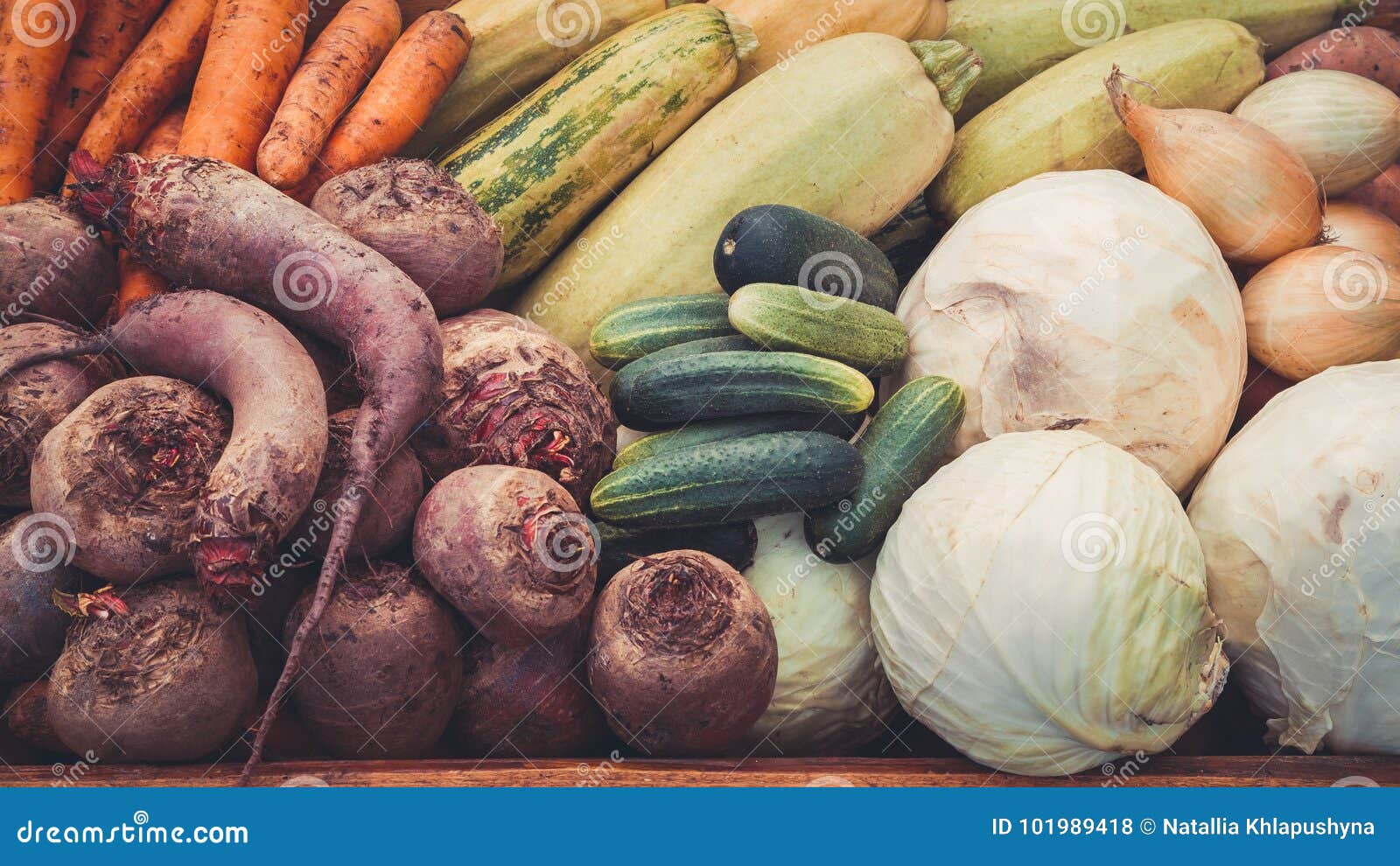 Autumn vegetables harvest. stock photo. Image of organic - 101989418