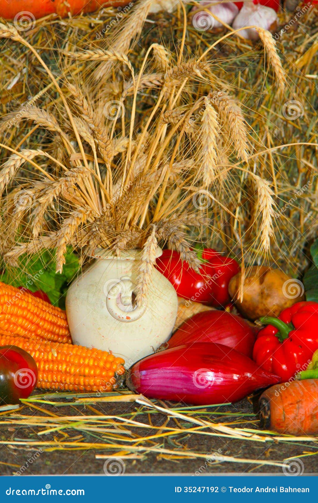 Autumn vegetables stock photo. Image of vegetables, season - 35247192