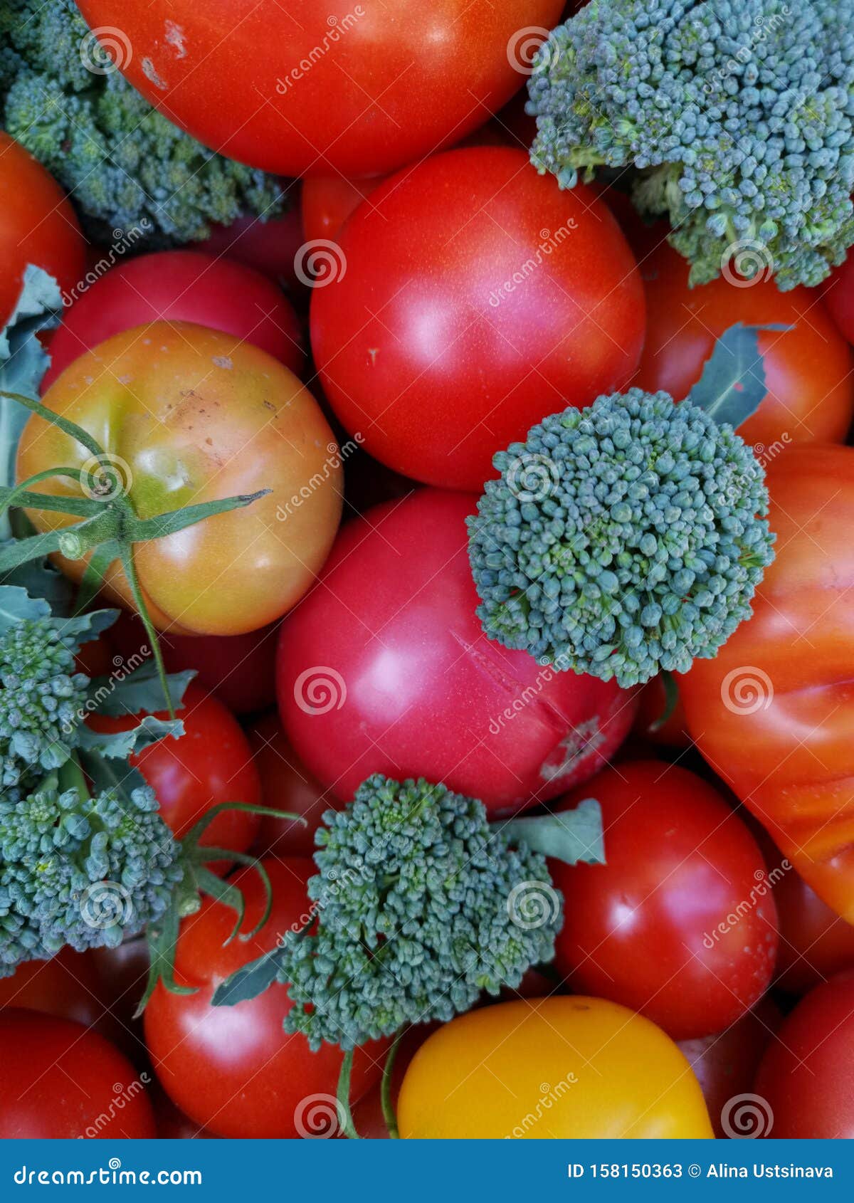 Autumn vegetables stock image. Image of vegetables, tomatoes - 158150363