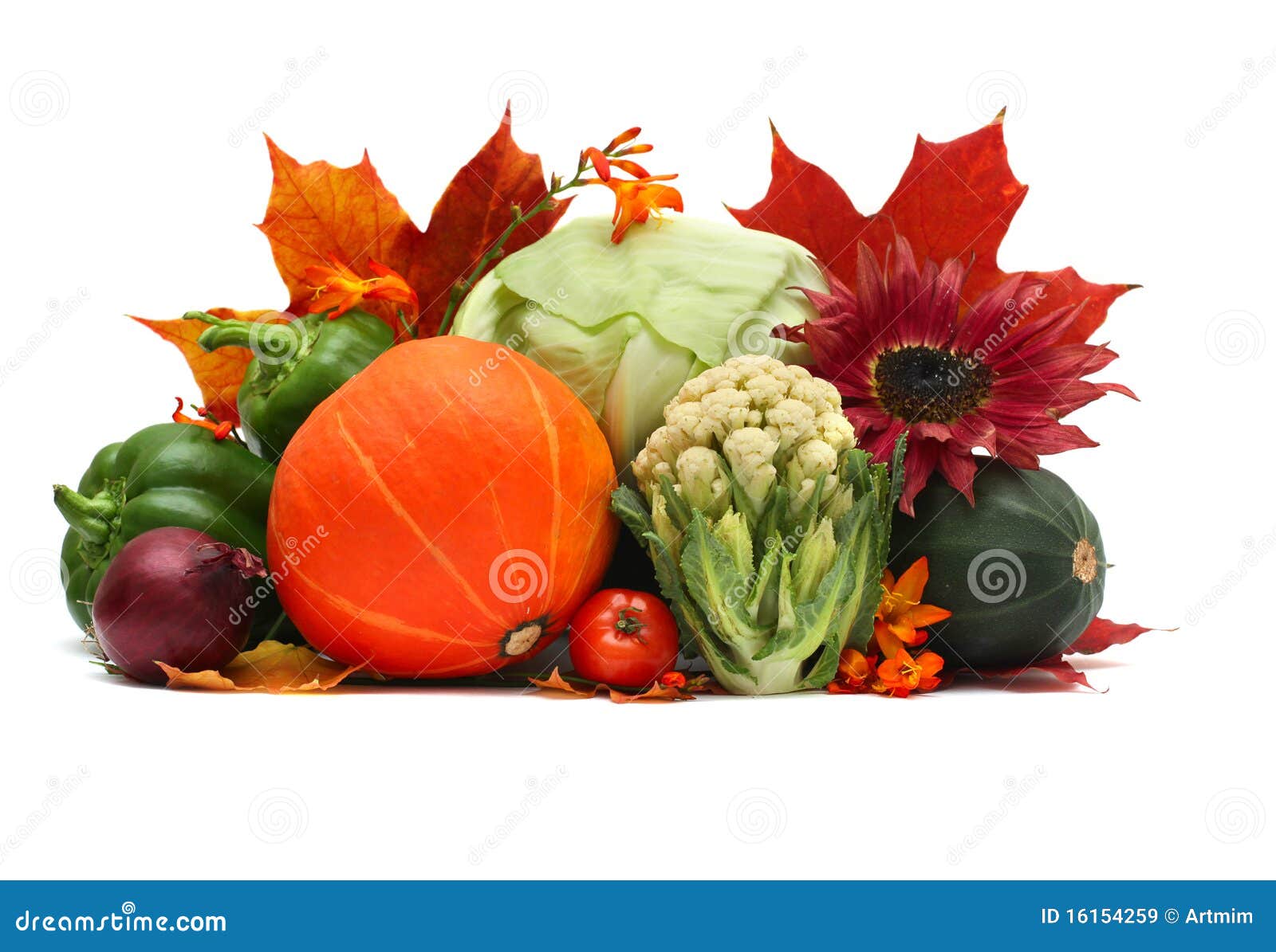 Autumn vegetables on white stock image. Image of lettuce - 16154259