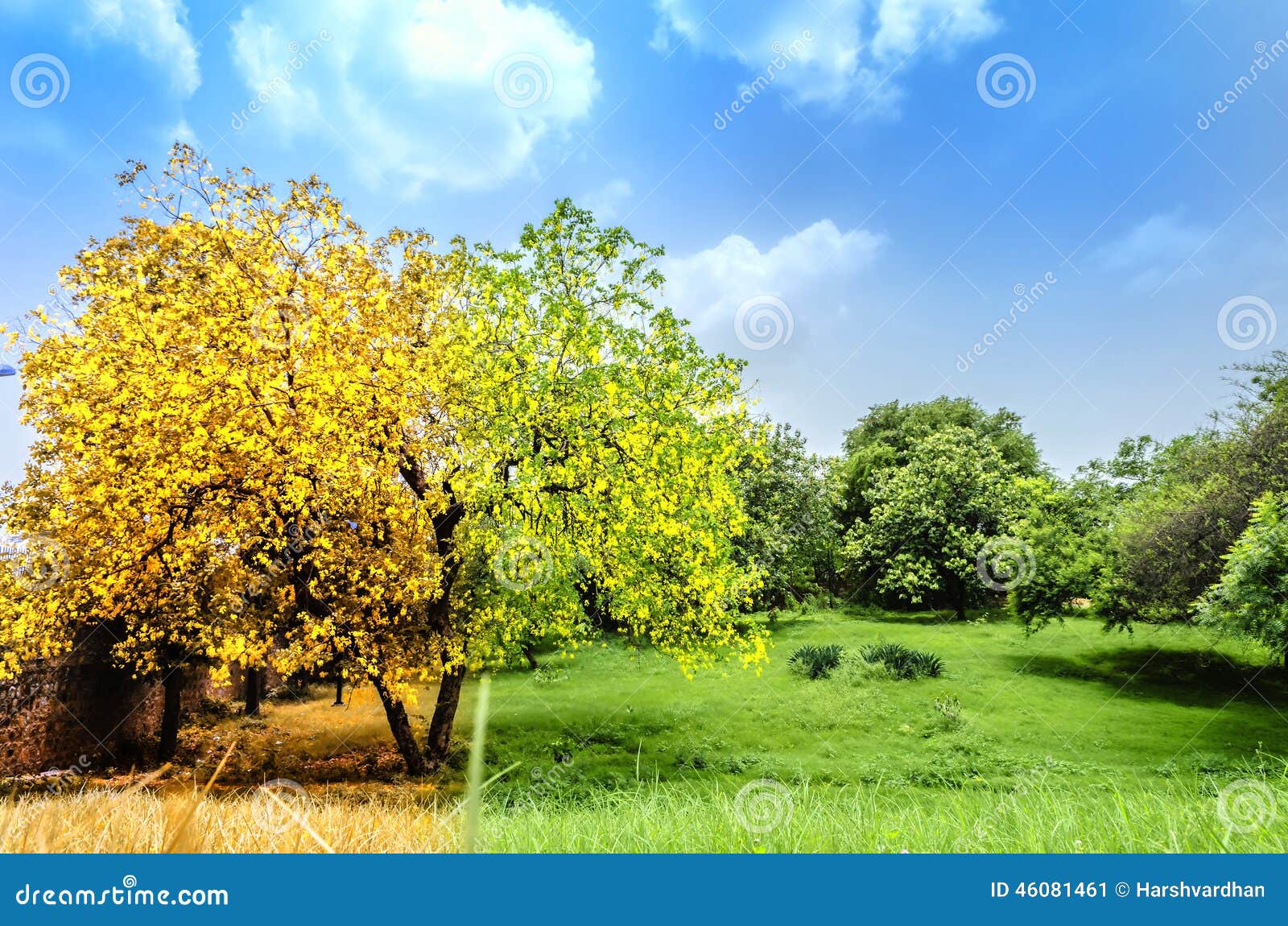 Autumn Versus Spring Concept Stock Image - Image of morning ...