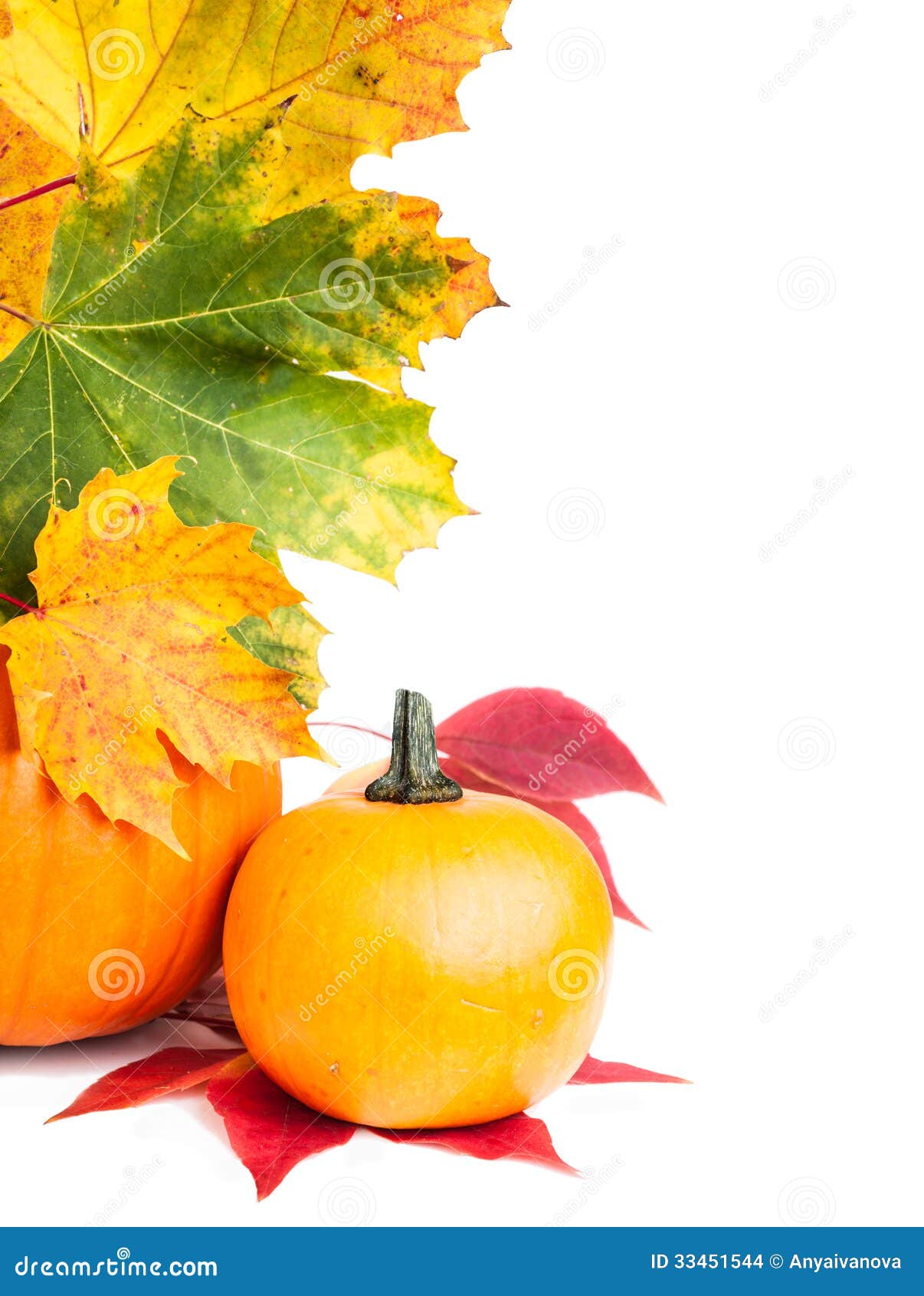 Autumn Vertical Edge Border Stock Photo - Image of yellow, orange: 33451544