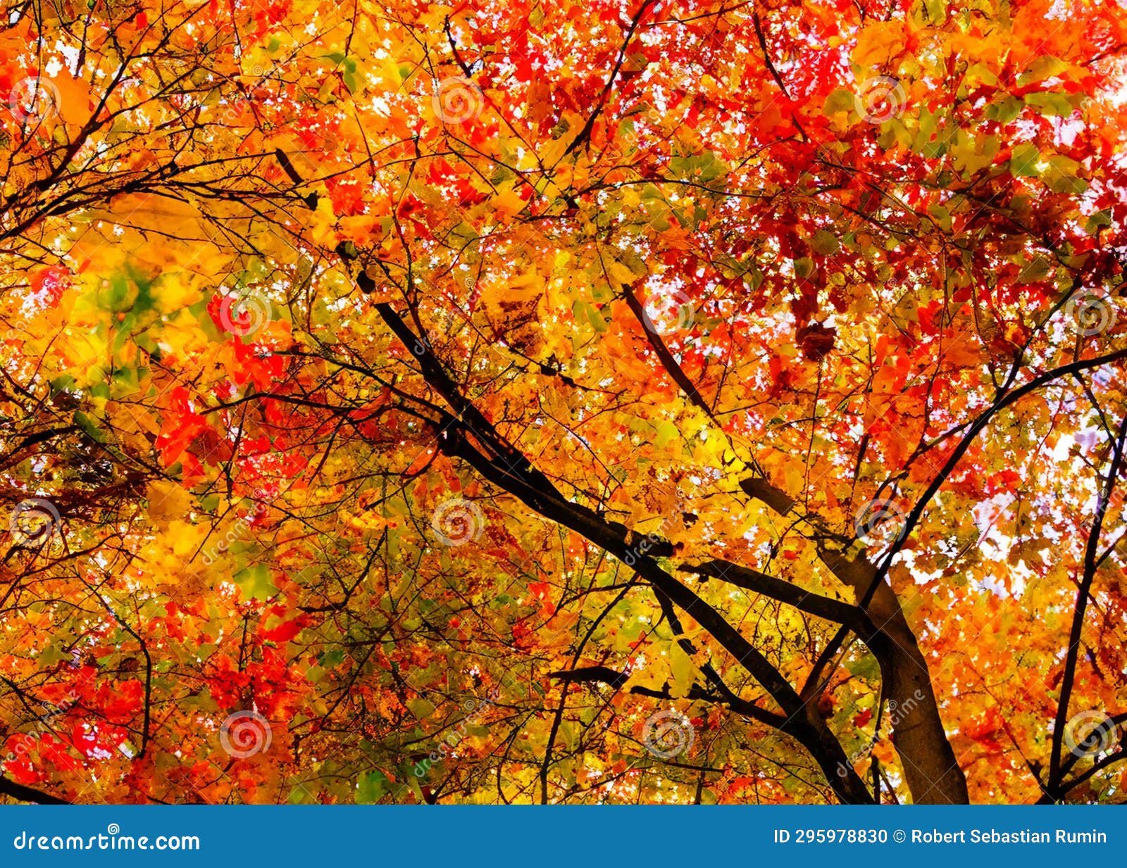Close-up Of Colorful Molecular Models Showing Covalent Bonds On A White ...