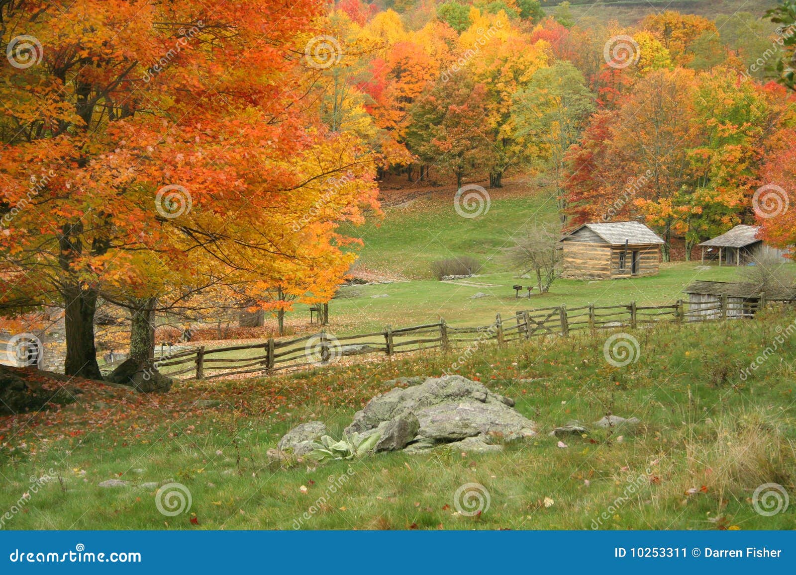 Autumn View stock image. Image of forest, autumn, fall - 10253311