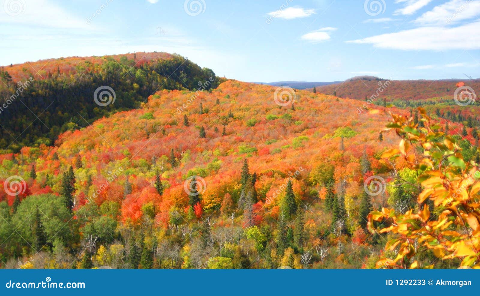 Autumn View stock image. Image of bluff, fresh, landscape - 1292233