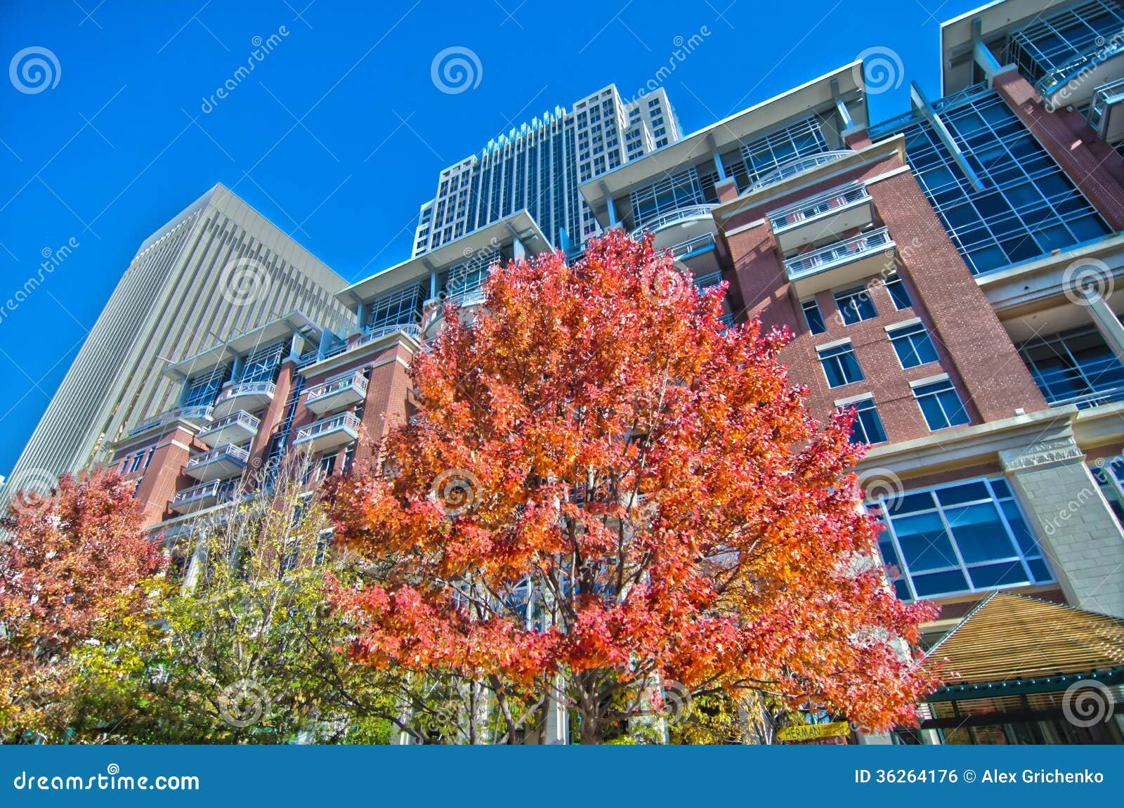Autumn View of a City Skyline Stock Photo - Image of mary, cityscape ...