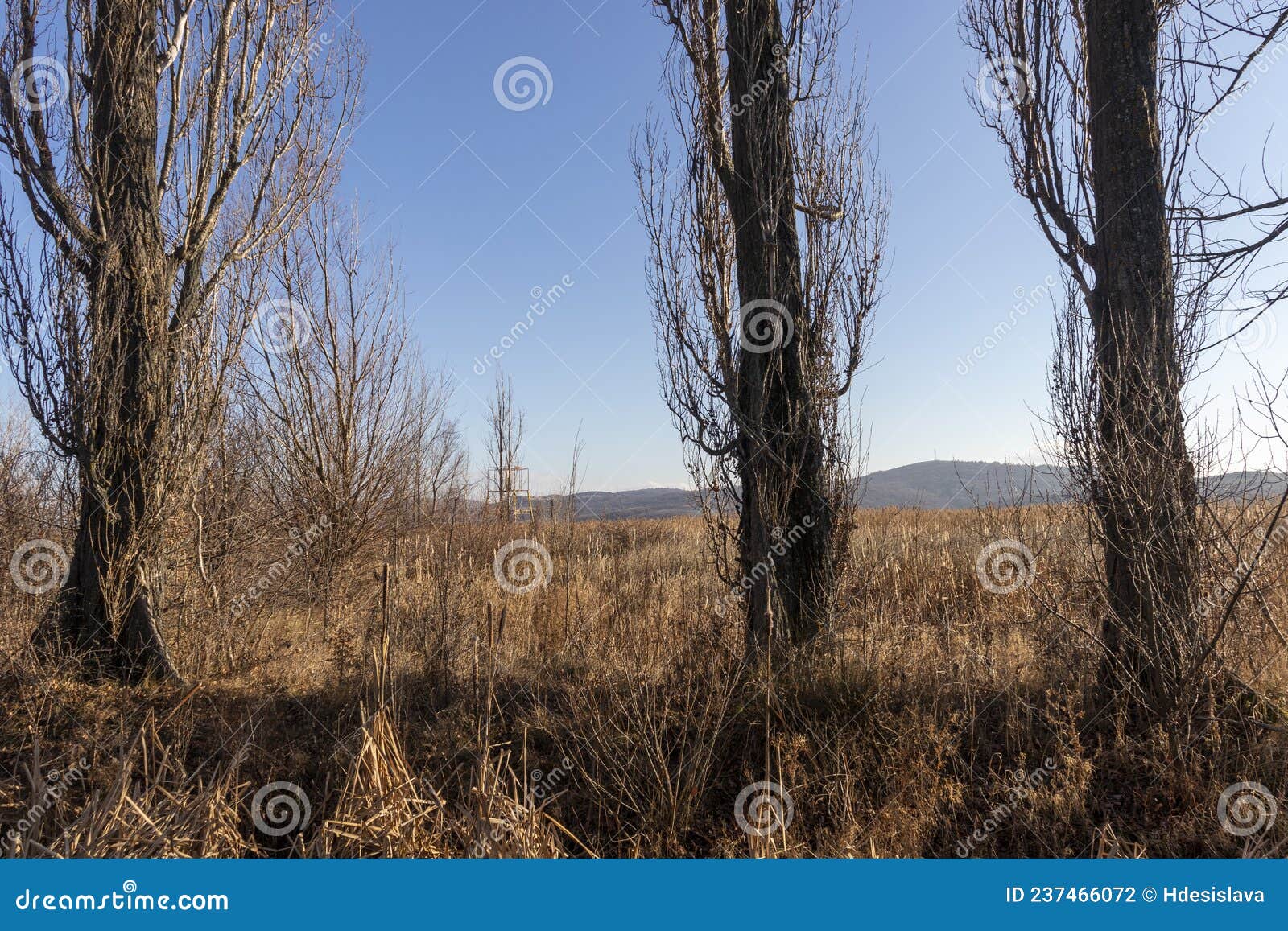 Autumn View of Dragoman Marsh, Bulgaria Stock Photo - Image of nature ...
