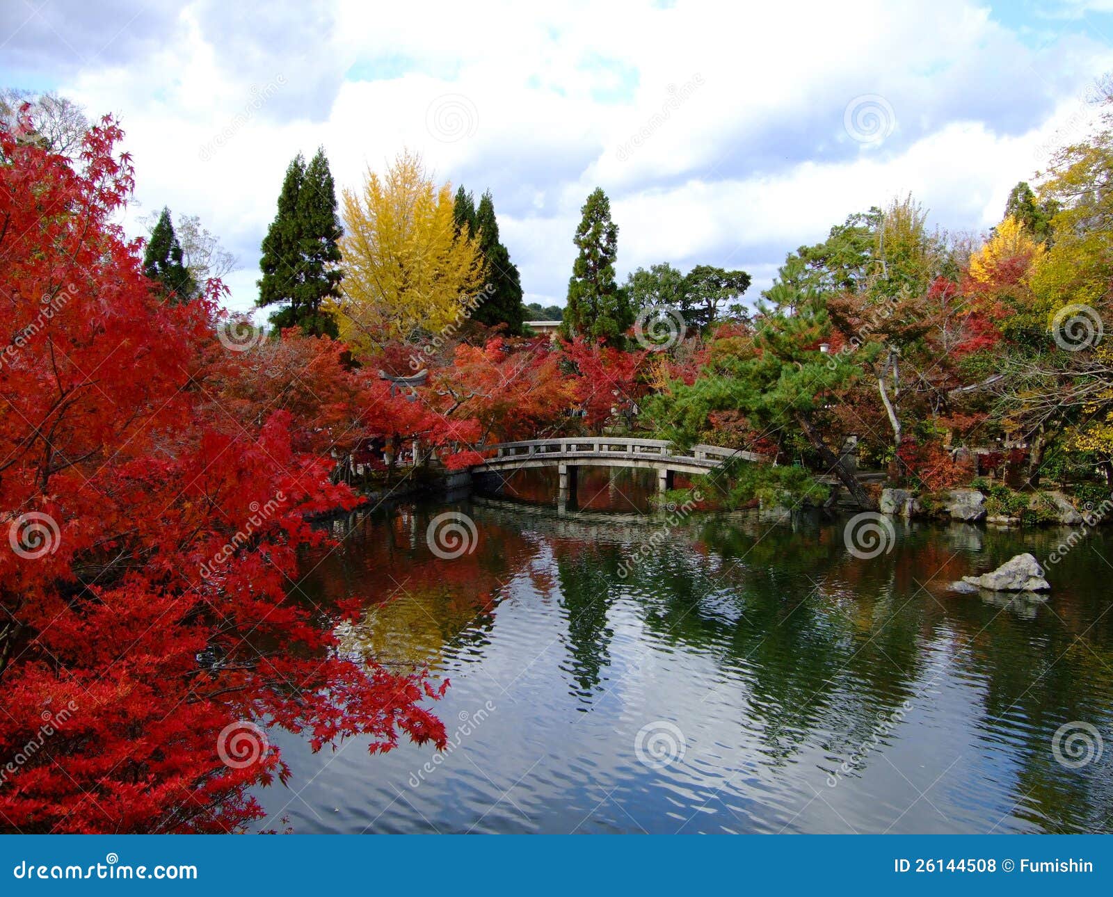 Autumn view of Hojo pond stock photo. Image of view, pond - 26144508
