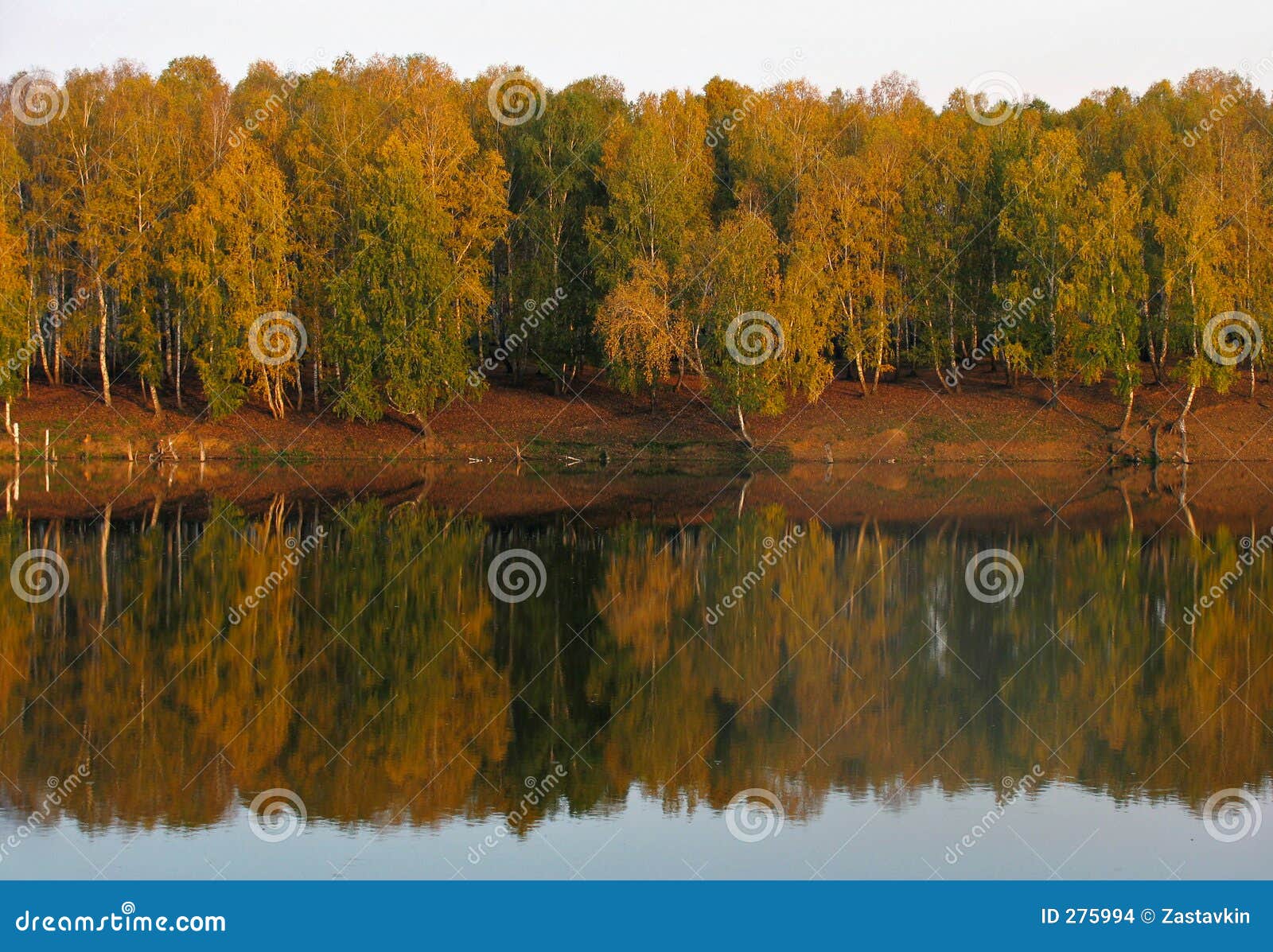 Autumn View of Lake and Forest Stock Photo - Image of marvelously ...