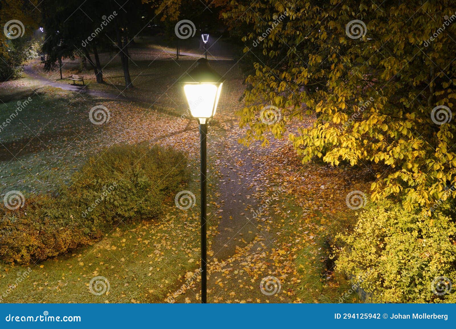 Autumn. a View of the Lit Road in the Park at Night Stock Photo - Image ...