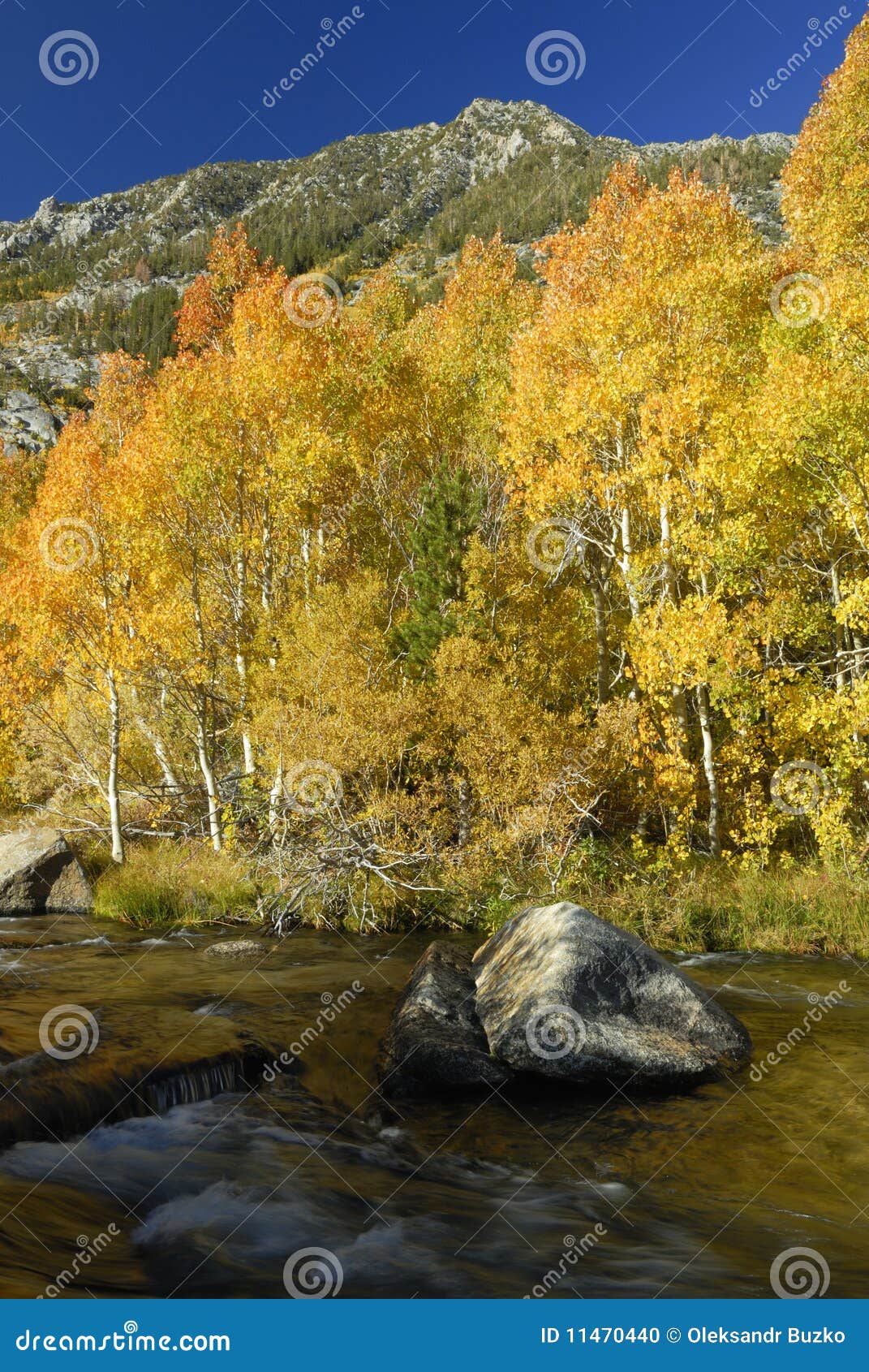 Autumn View of a Mountain Stream Stock Photo - Image of autumn, nature ...