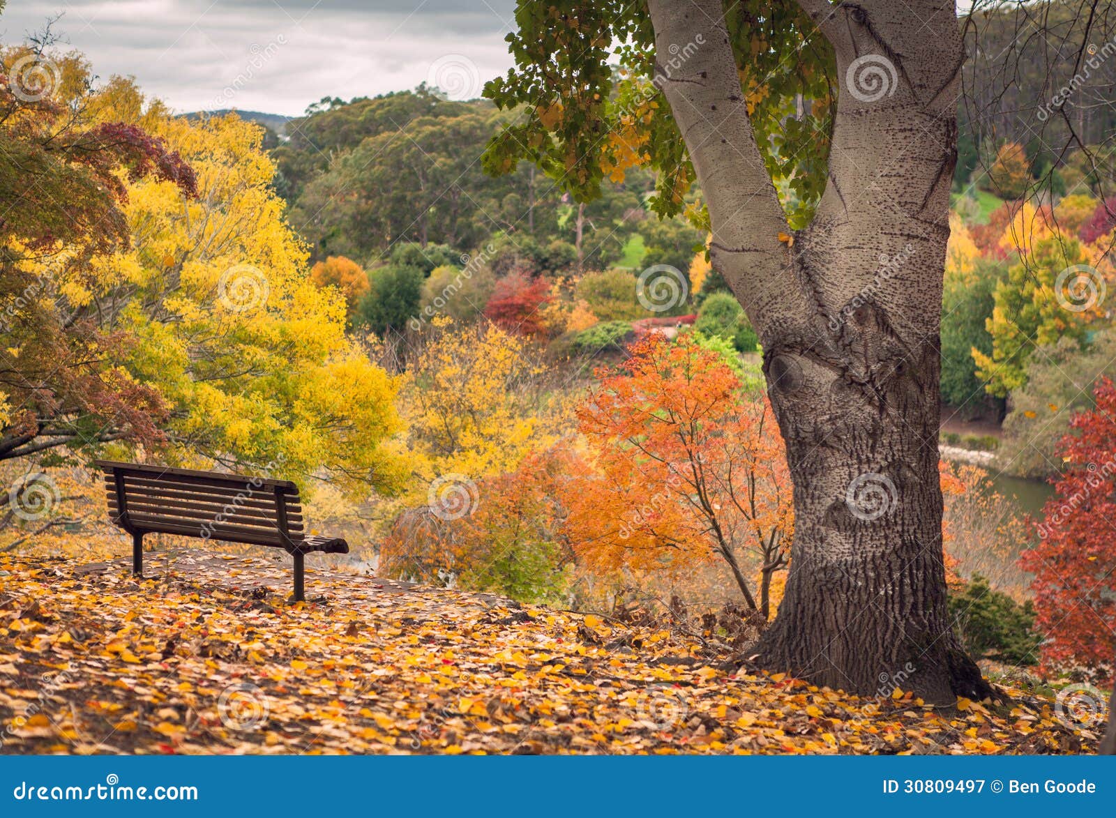 Autumn View stock image. Image of landscape, park, bench - 30809497