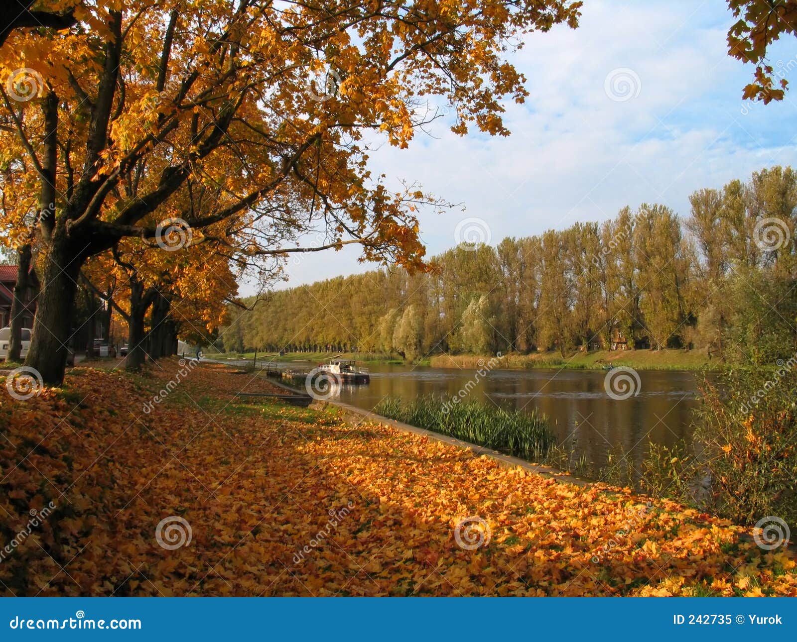 Autumn view at the river stock image. Image of stone, sunny - 242735