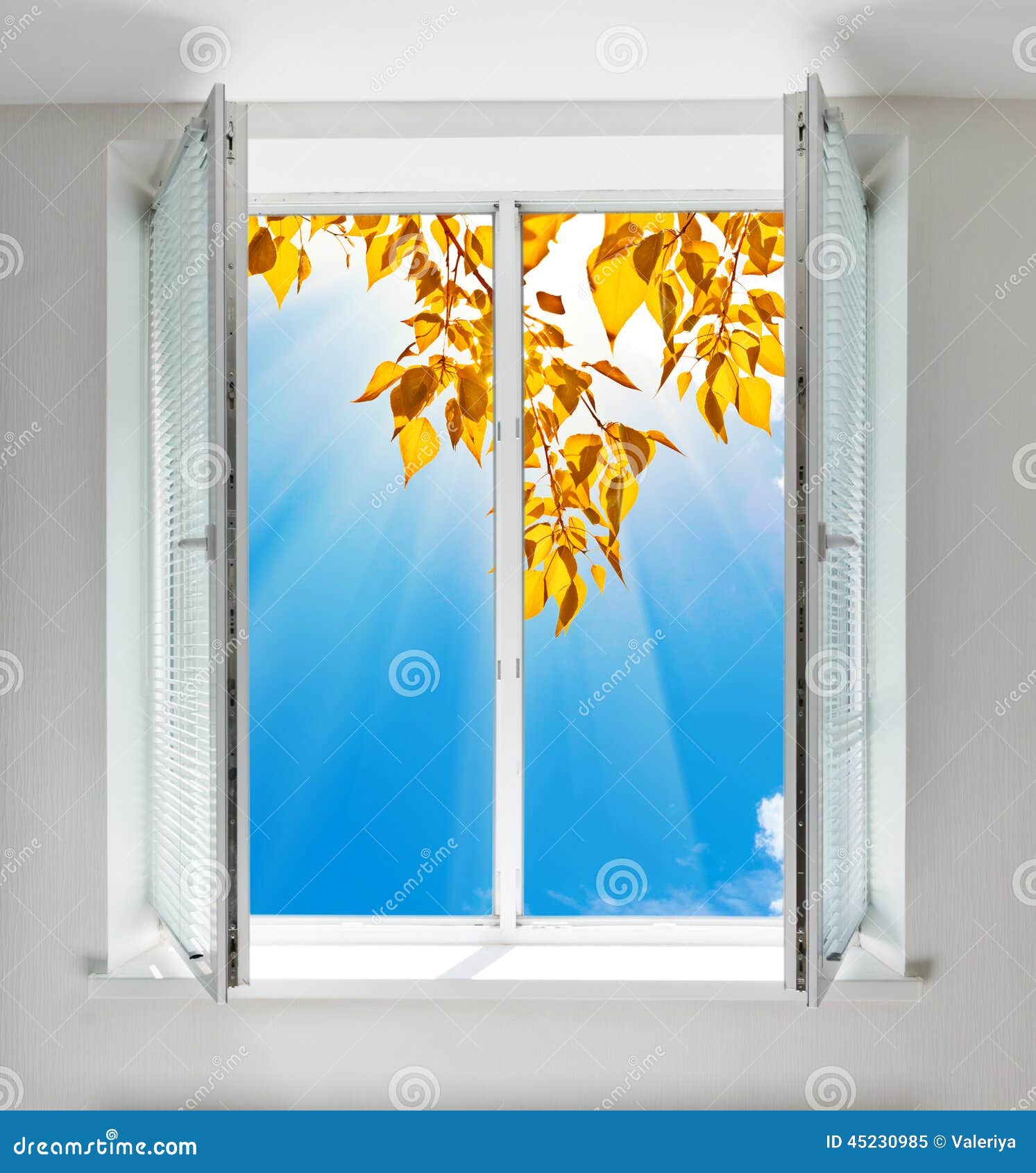 Autumn view from window stock image. Image of garden - 45230985