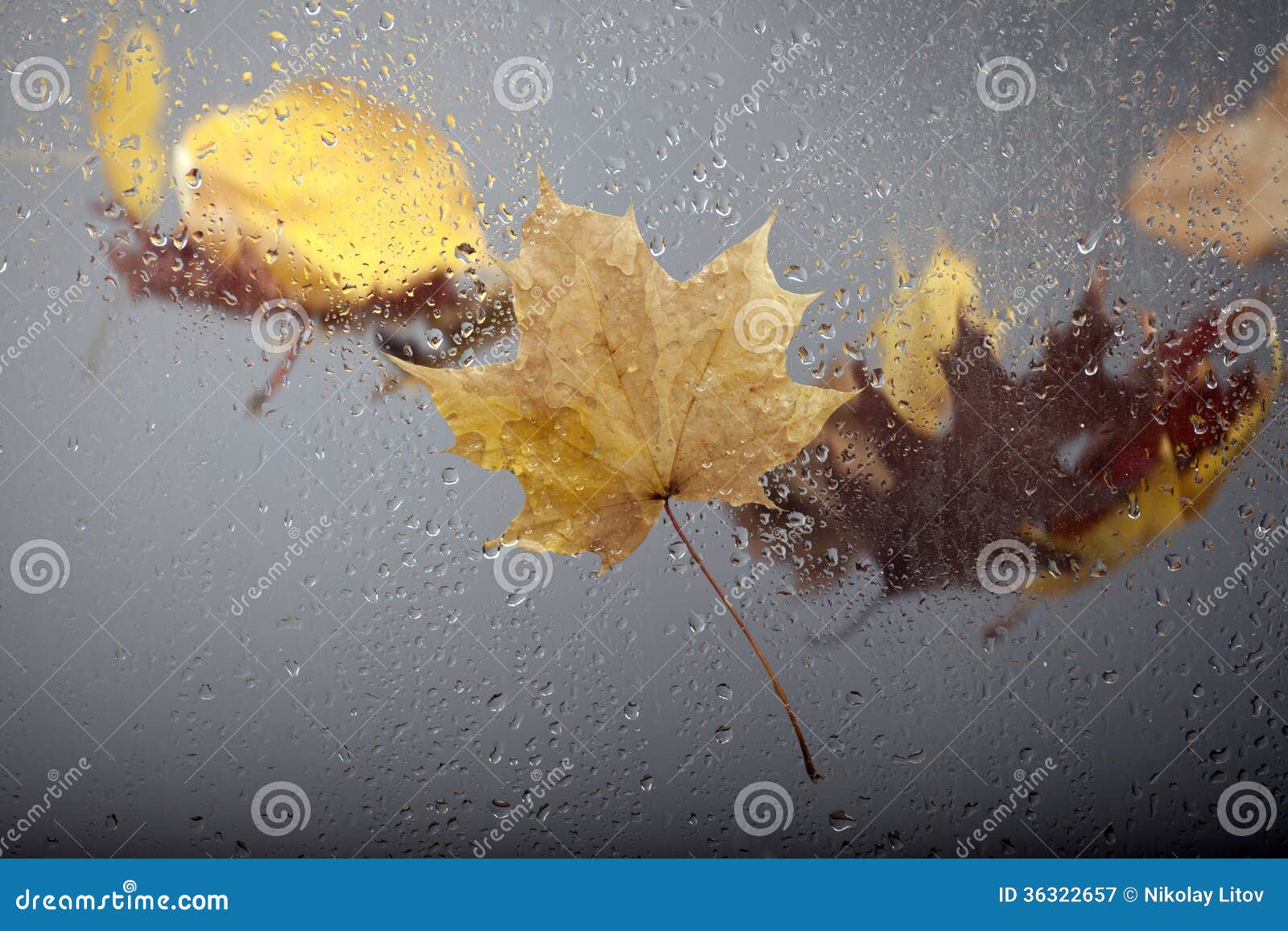 Autumn Views through the Window Stock Image - Image of fall, colorful ...