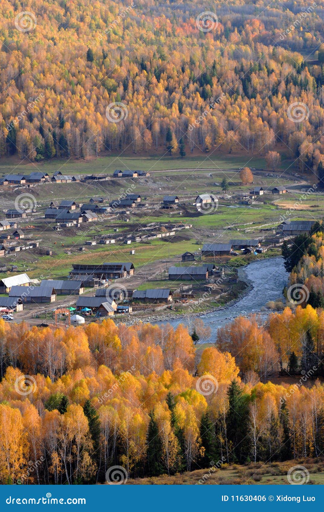 Autumn Village stock photo. Image of scenic, fall, forest - 11630406