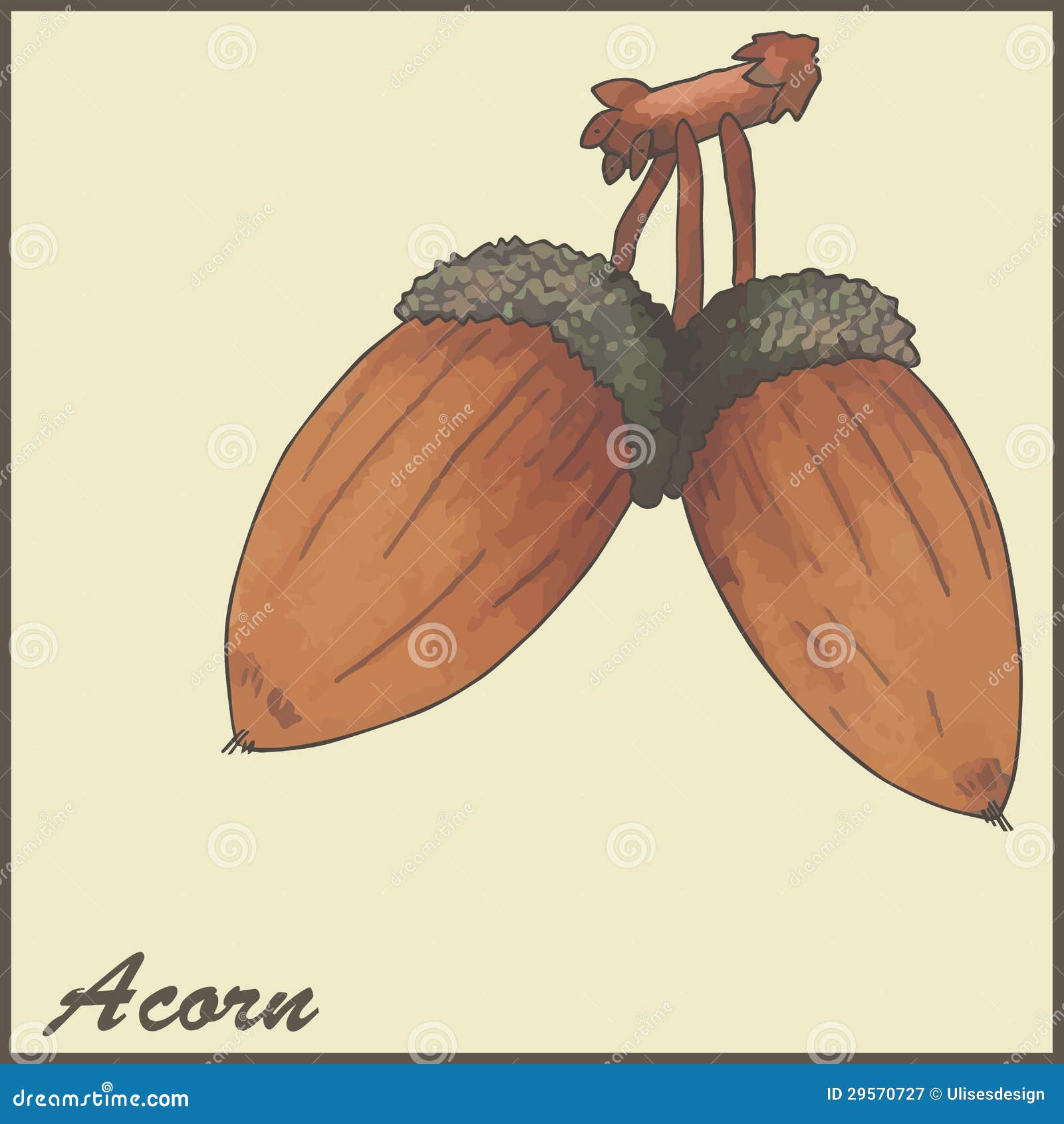 Autumn Vintage Card with Acorns Stock Illustration - Illustration of ...
