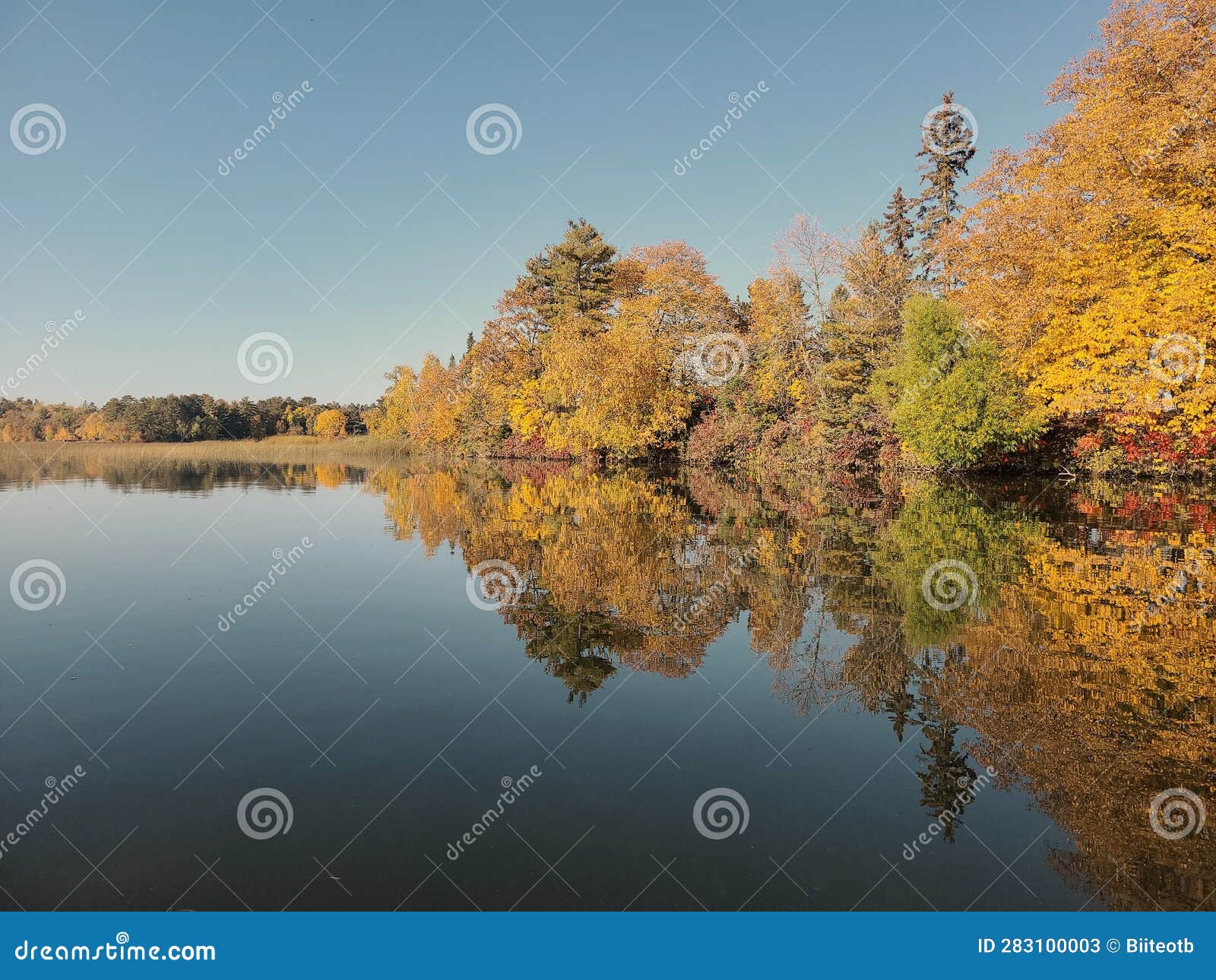 Autumn Vintage Mantrap Lake Shot Stock Image - Image of trees, lake ...
