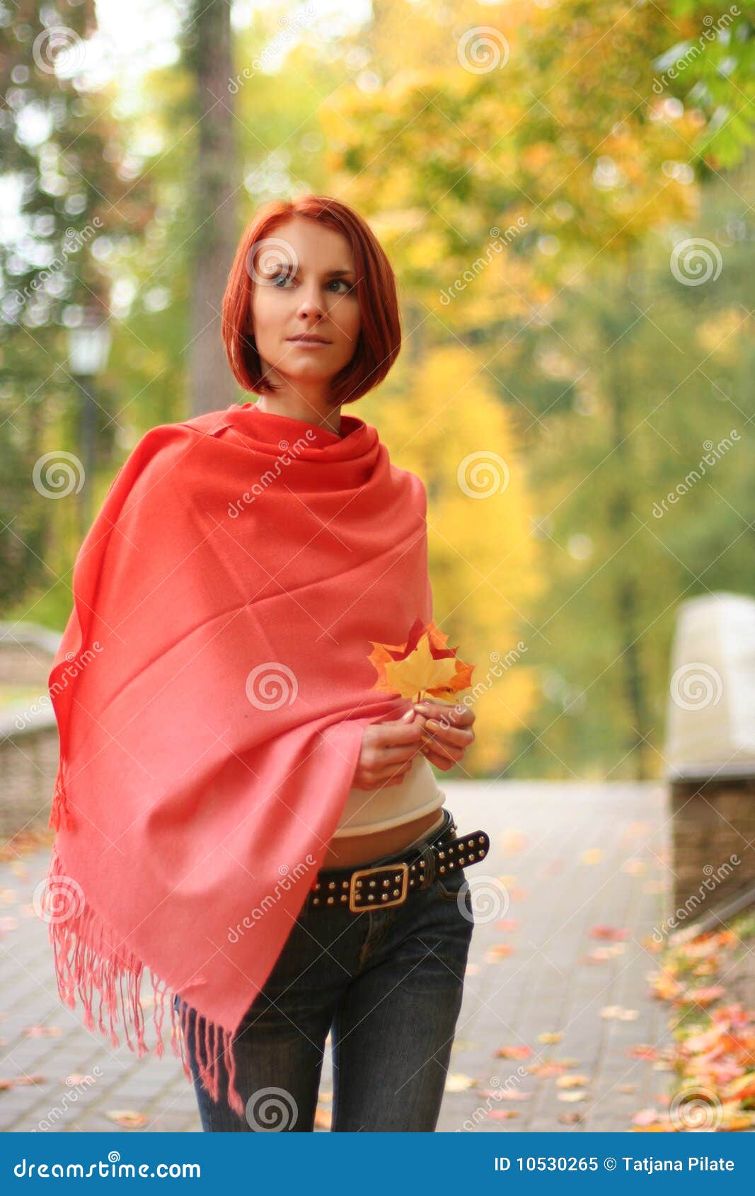 Autumn walk stock image. Image of fashion, delight, lifestyles - 10530265