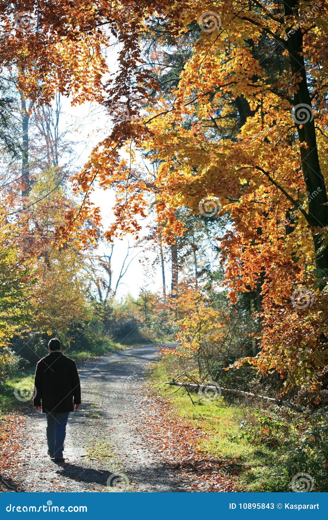 Autumn walk stock image. Image of leaves, season, foliage - 10895843