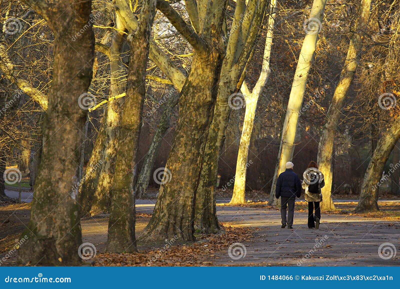 Autumn walk stock photo. Image of rustic, season, love - 1484066